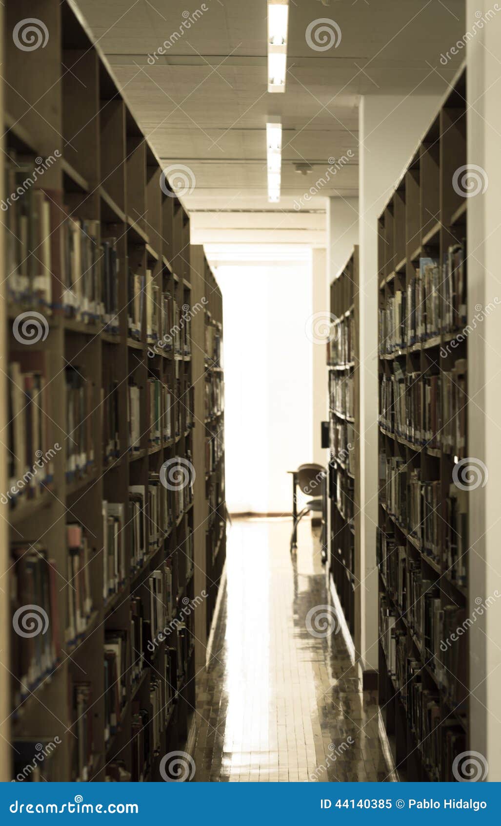 Library bookshelves stock image. Image of inside, collection - 44140385