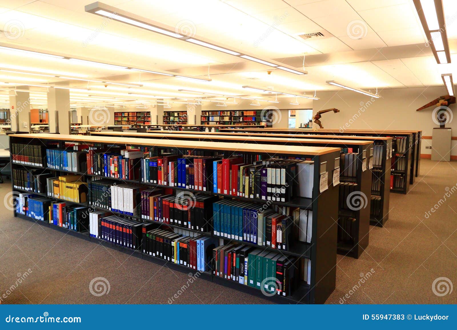 Library Bookshelves editorial stock photo. Image of powerful - 55947383
