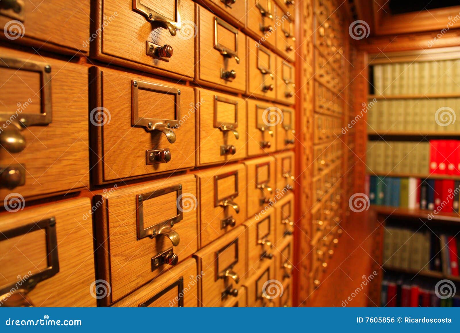 Library Catalog stock photo. Image of education, filing - 7605856