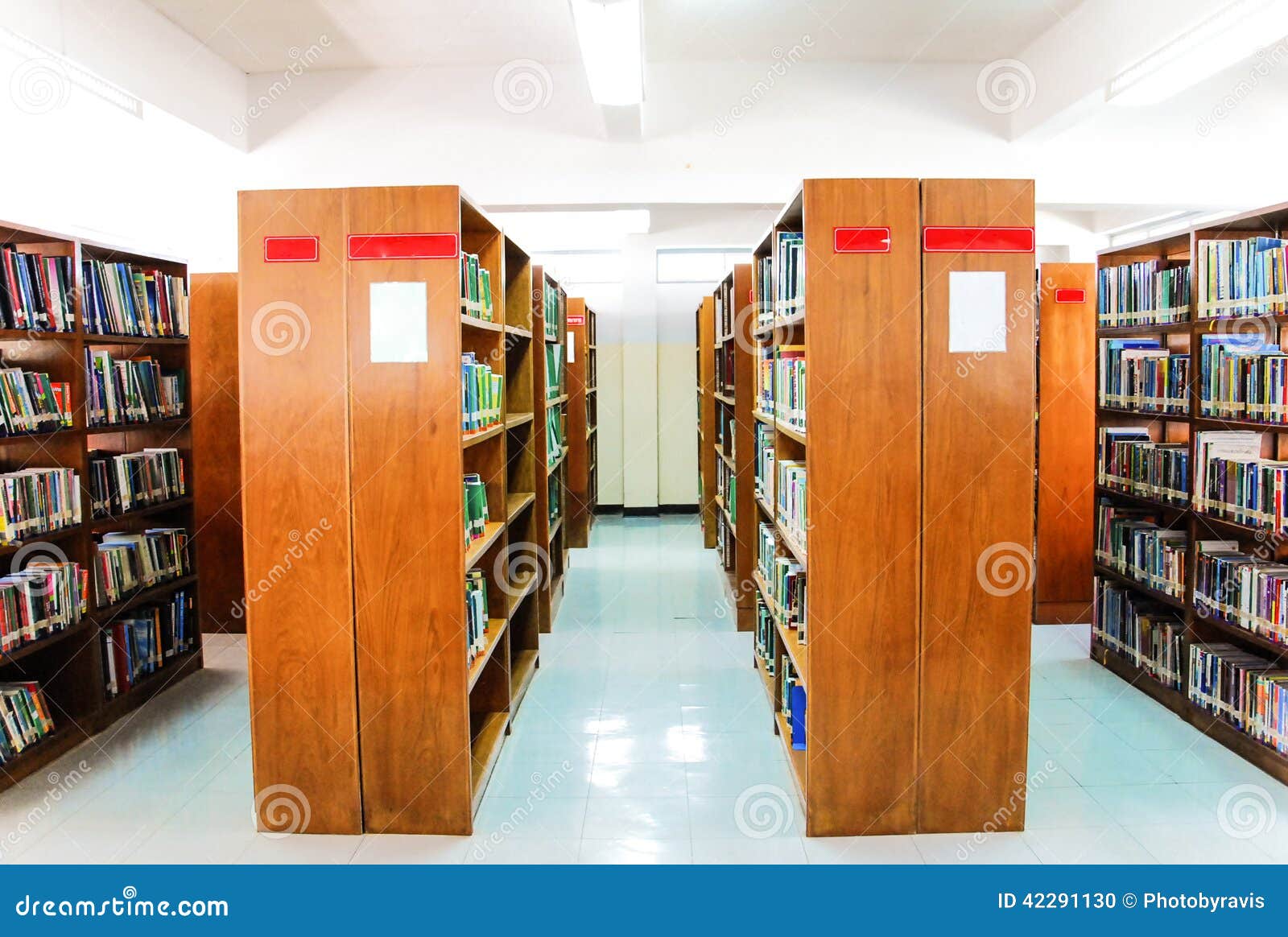 Library stock photo. Image of hardcover, information - 42291130