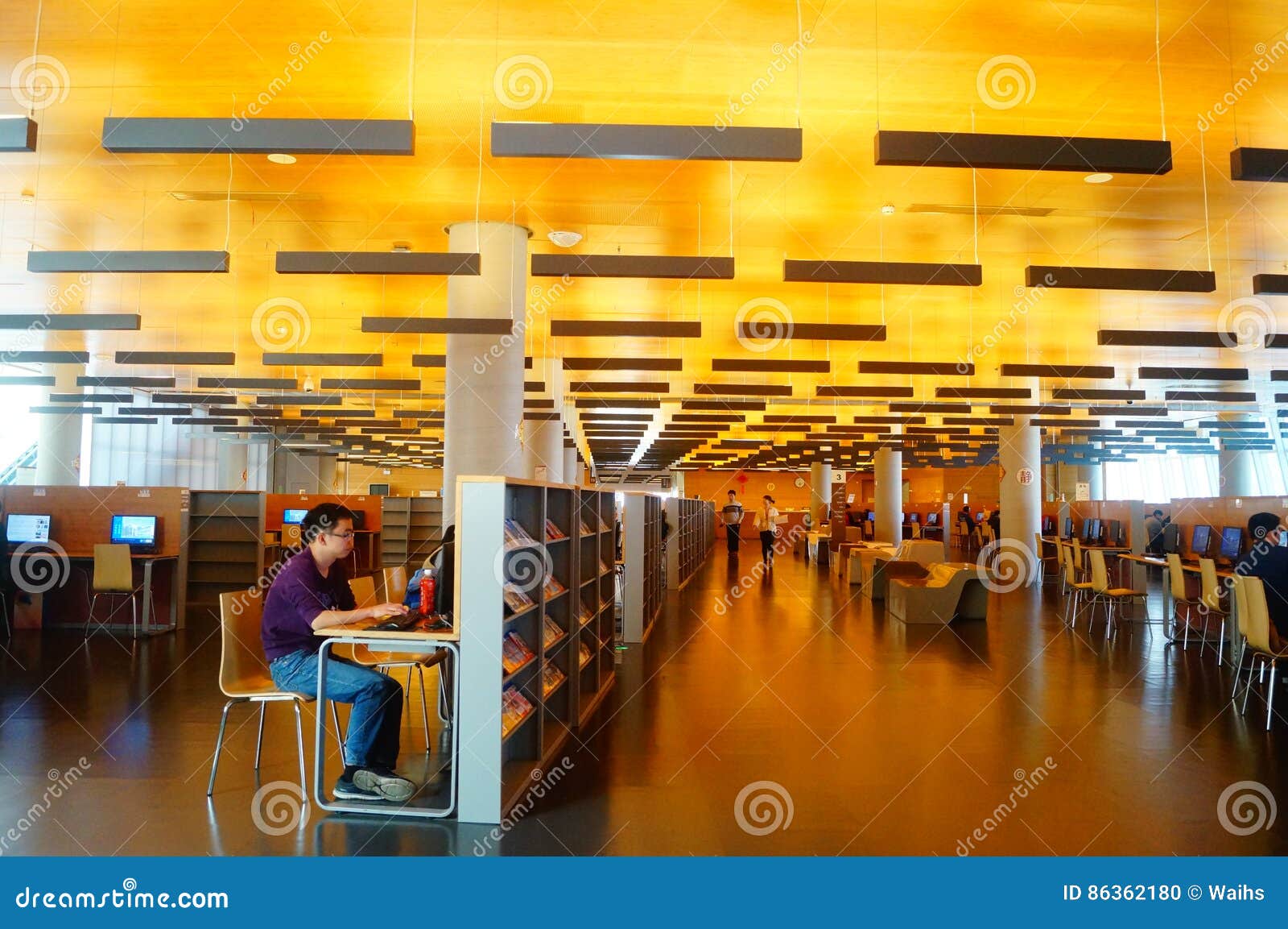 Library computer room editorial image. Image of landscape - 86362180