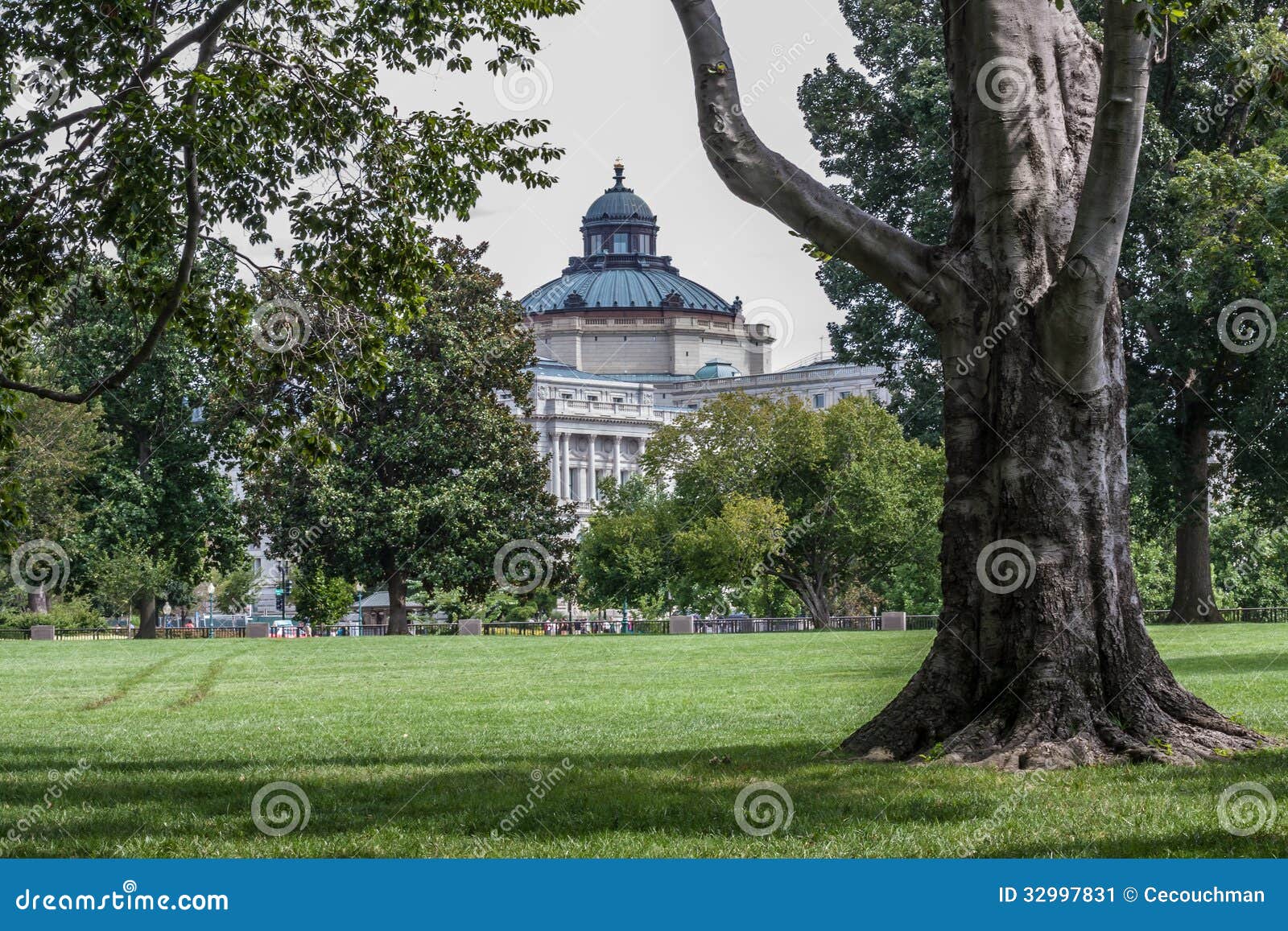 Library of Congress Building through Trees Stock Image - Image of dome ...