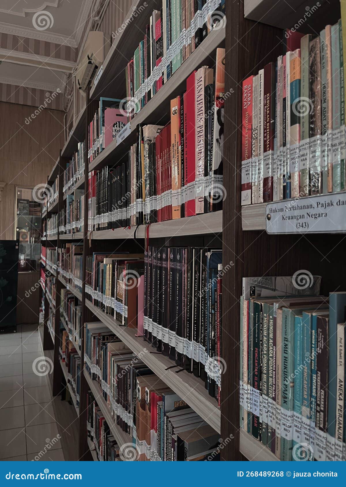 A Library Full of Books History Knowledge and the Future of Ours ...