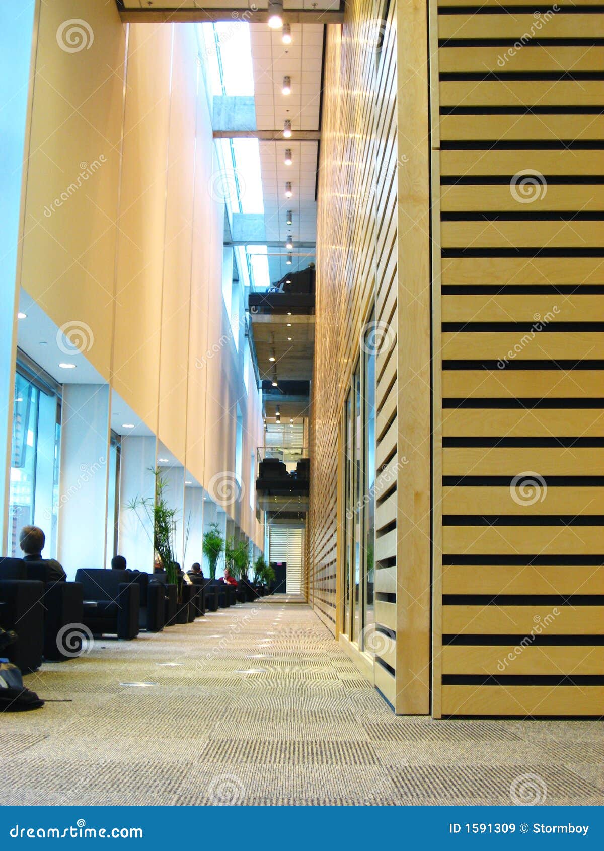 Library hallway stock image. Image of read, student, research - 1591309