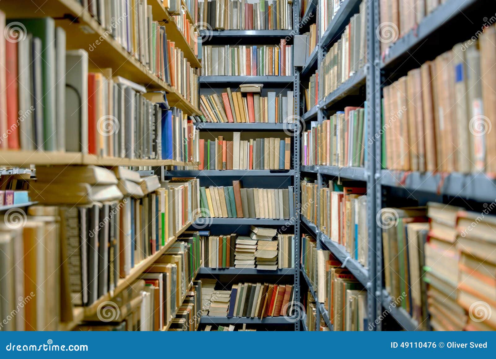 Library Interior with Books Stock Photo - Image of shelf, library: 49110476