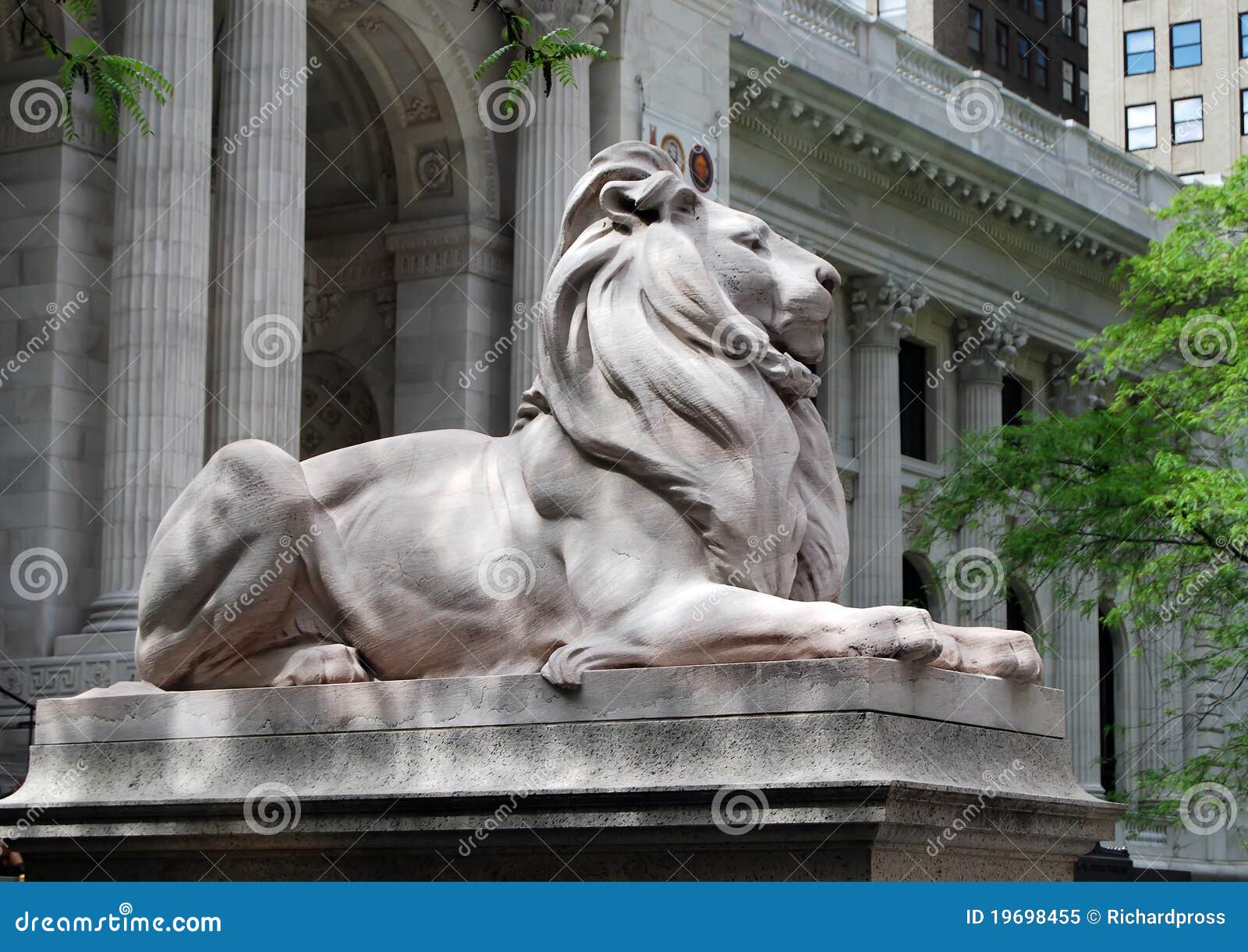 Library Lion stock image. Image of regal, animals, lions - 19698455
