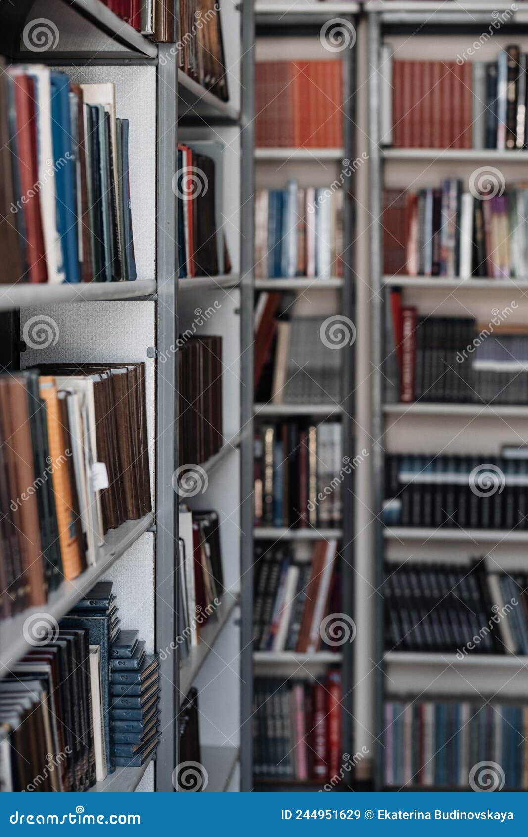 Library with lots of books stock image. Image of knowledge - 244951629