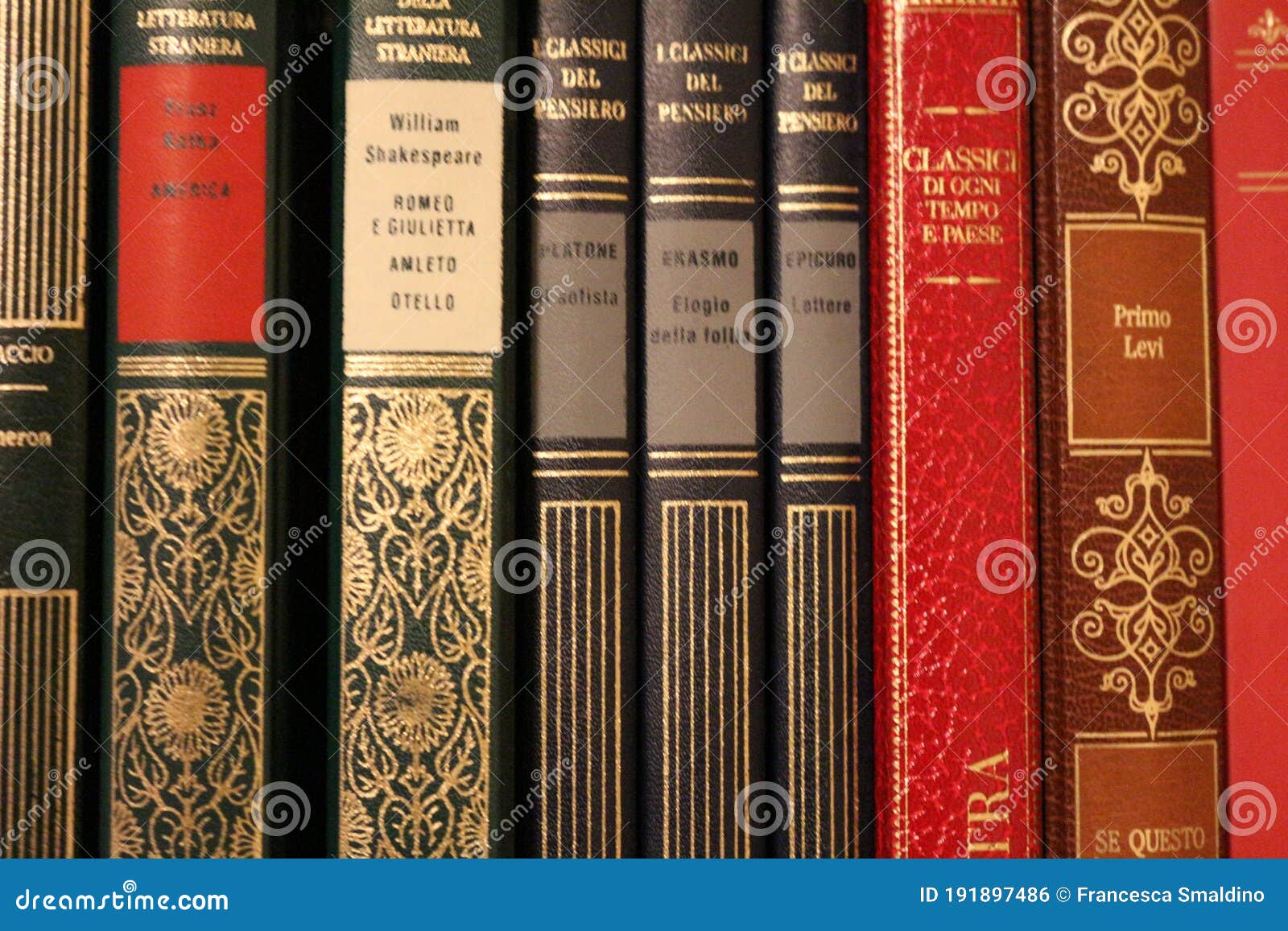 Library, Overview of Classic Books Editorial Photo - Image of book ...