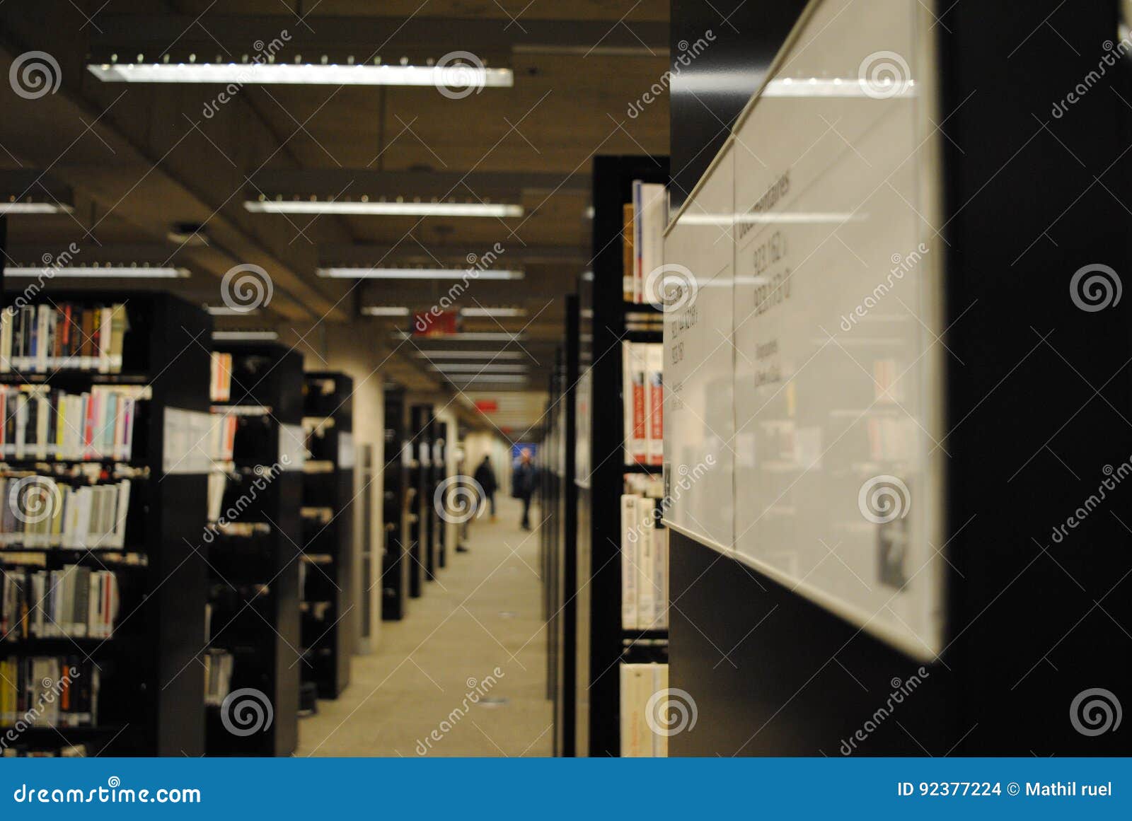 Library stock photo. Image of library, books, read, quiet - 92377224