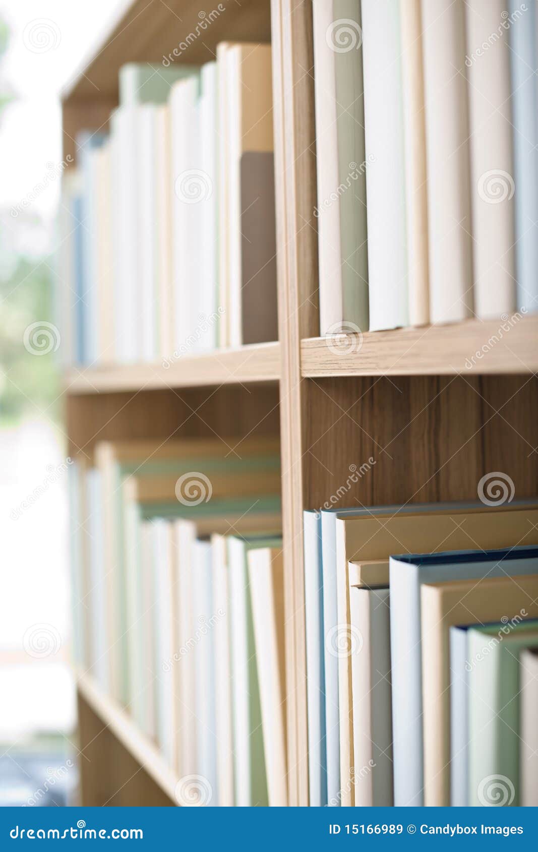 Library - Row of Books on Bookshelf Stock Image - Image of book, shelf ...