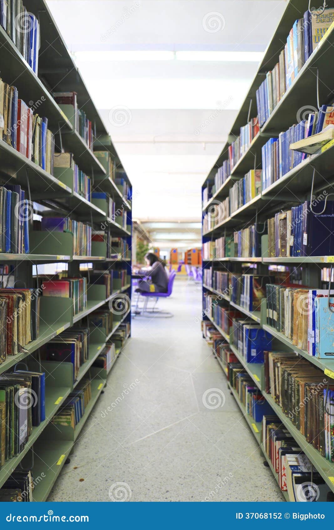 Library Setting with Books and Reading Material Editorial Photography ...