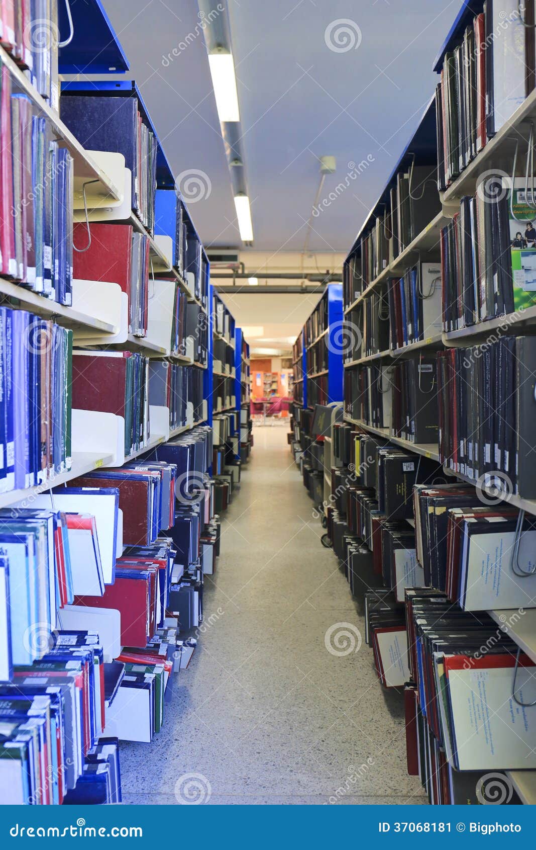 Library Setting with Books and Reading Material Editorial Photo - Image ...