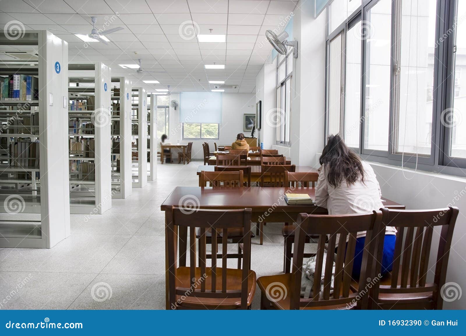 Library study stock photo. Image of education, notebook - 16932390