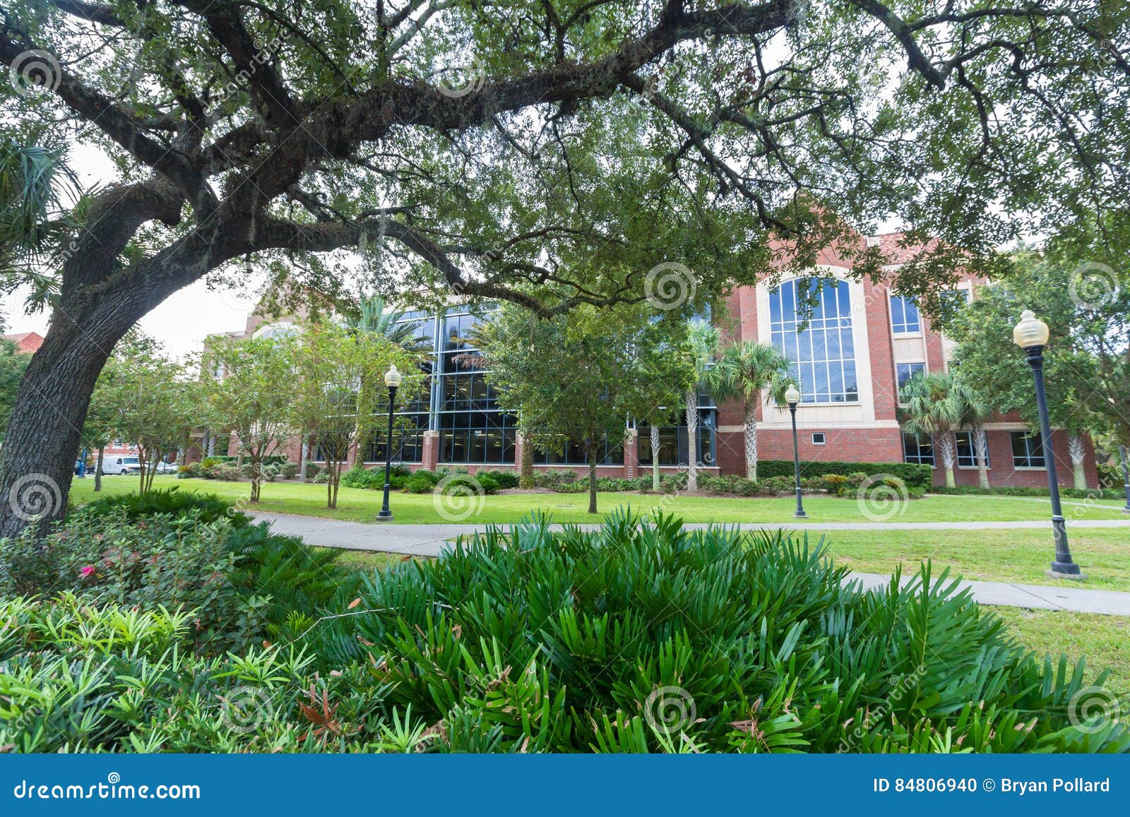 Library West at the University of Florida Editorial Image - Image of ...