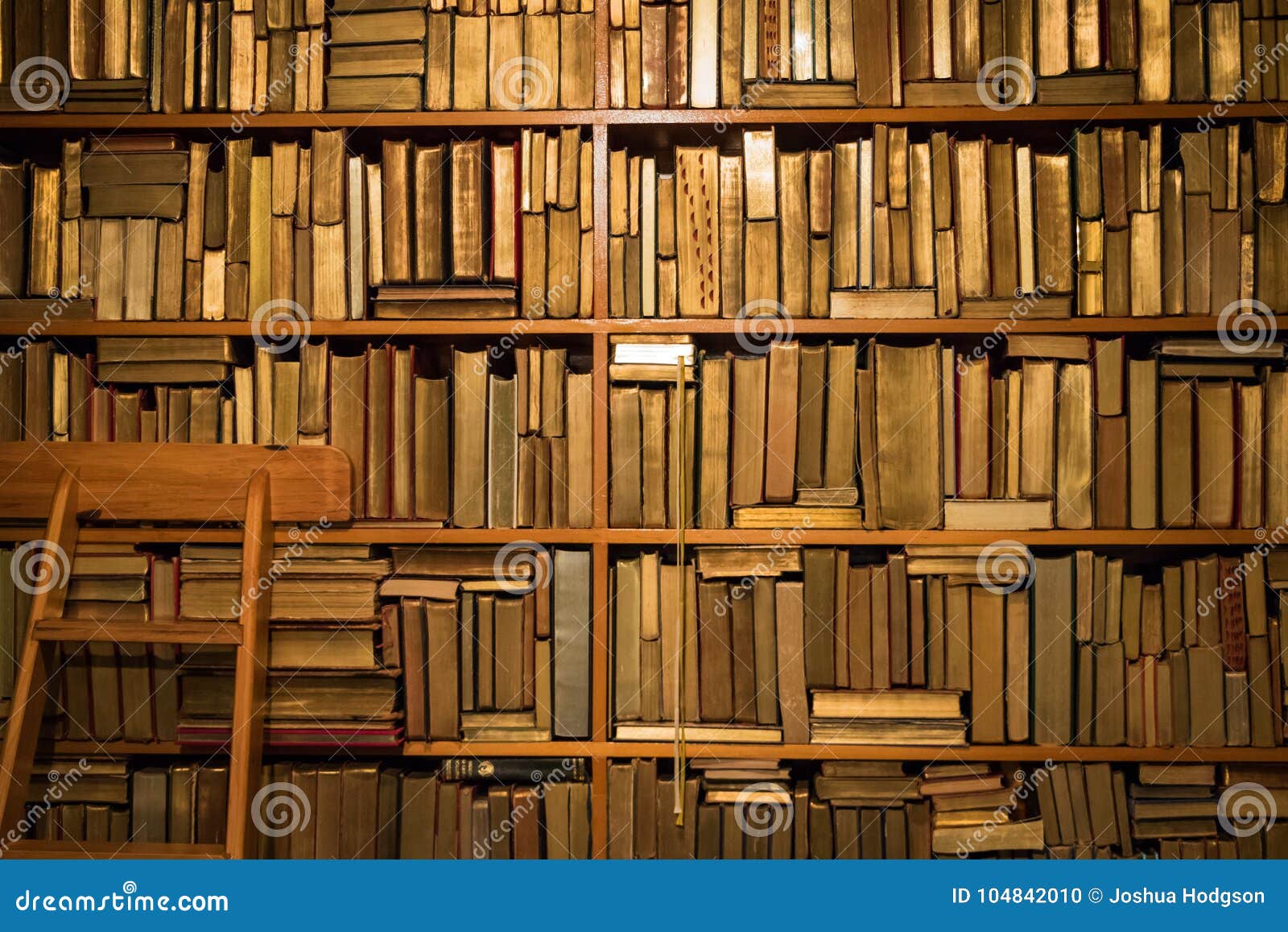 Libri Sullo Scaffale Con La Scala Fotografia Stock - Immagine di ...