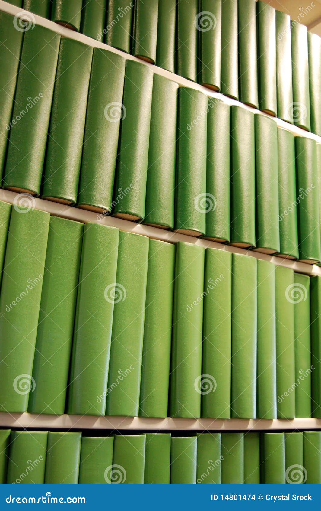 Libri Verdi Sullo Scaffale Per Libri Fotografia Stock - Immagine di ...