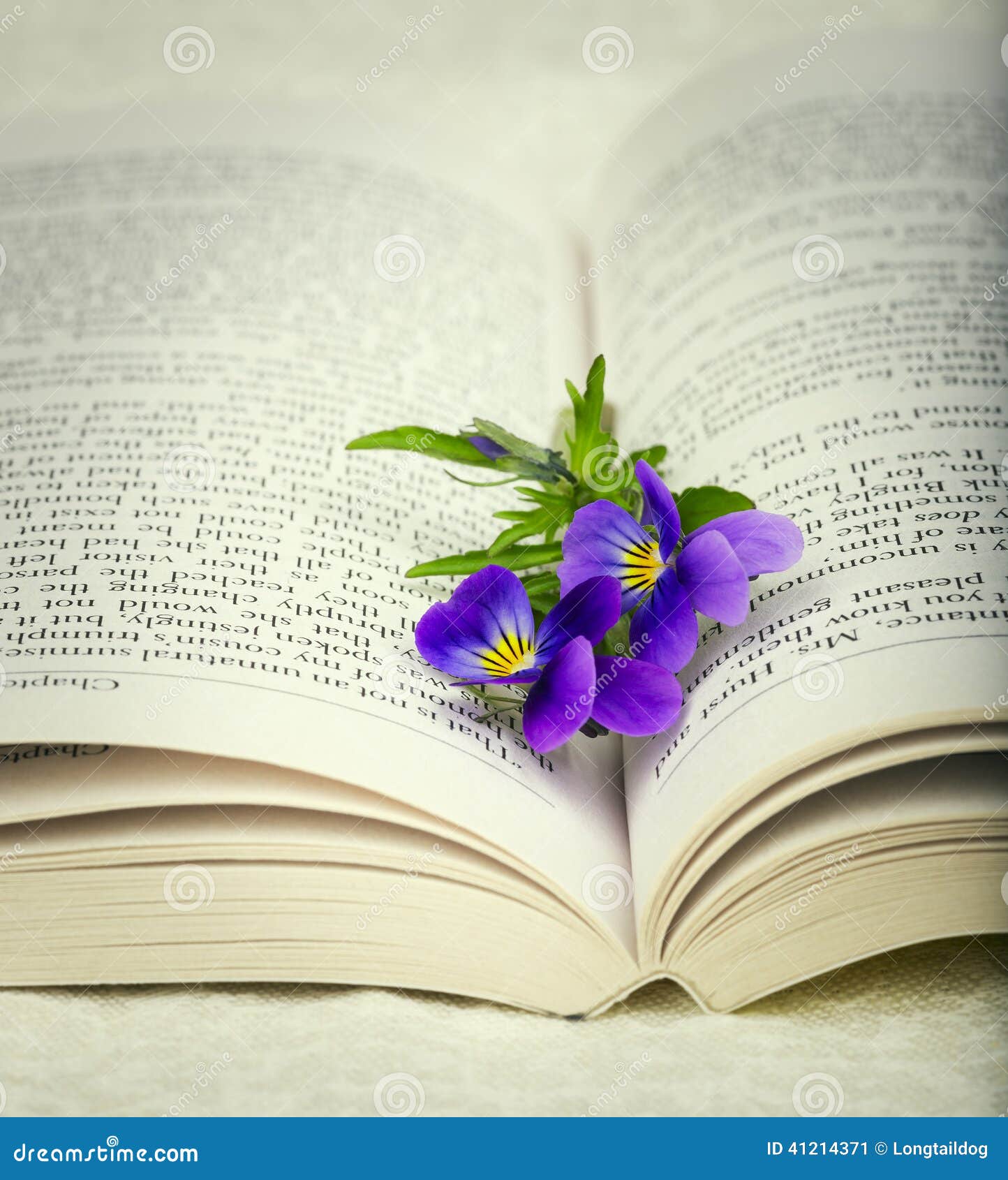 Libro Abierto Con La Flor Como Señal Imagen de archivo - Imagen de ...