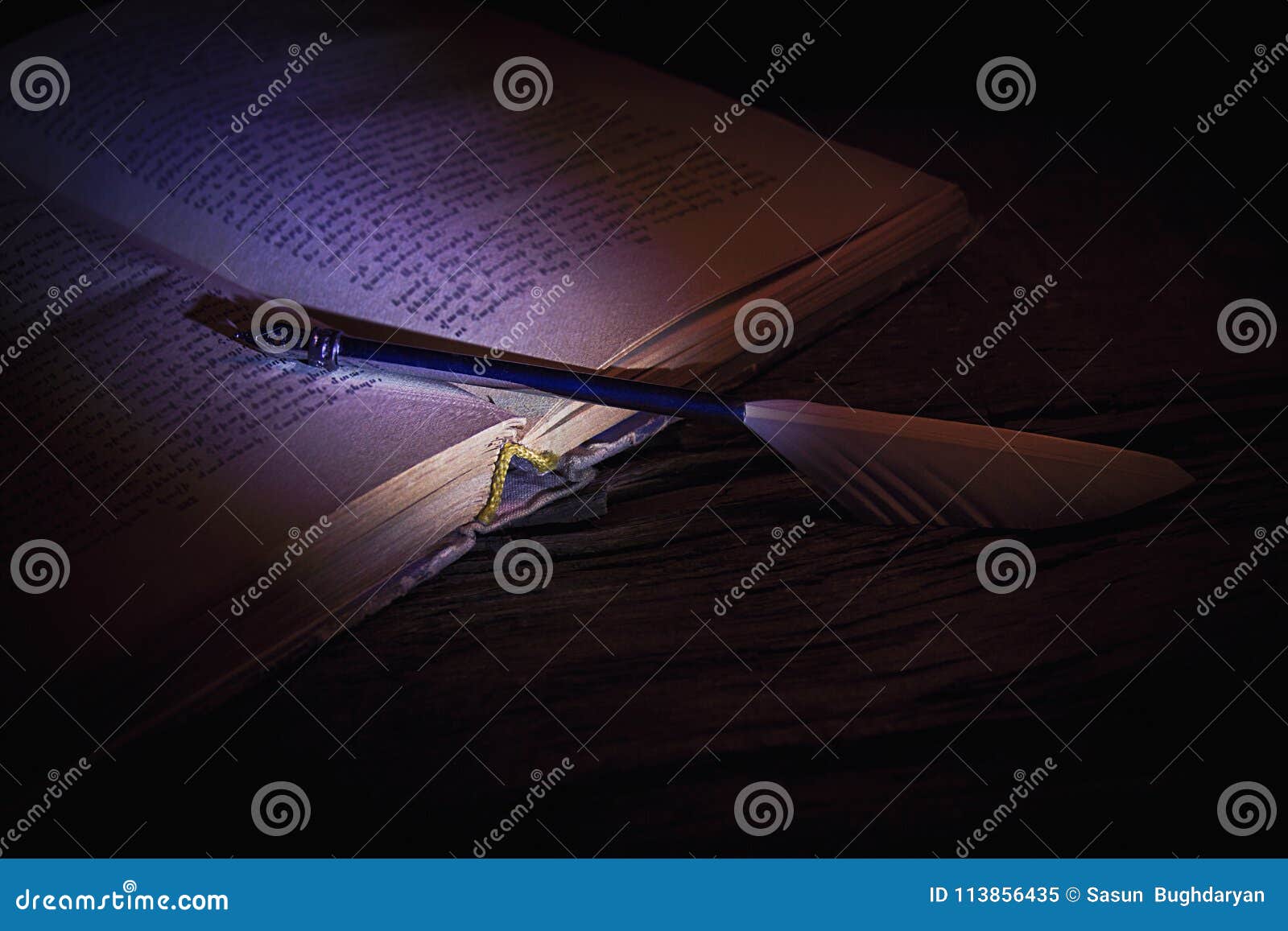 Libro Antico Con Penna E Calamaio Stock Image - Image of diary, penna ...