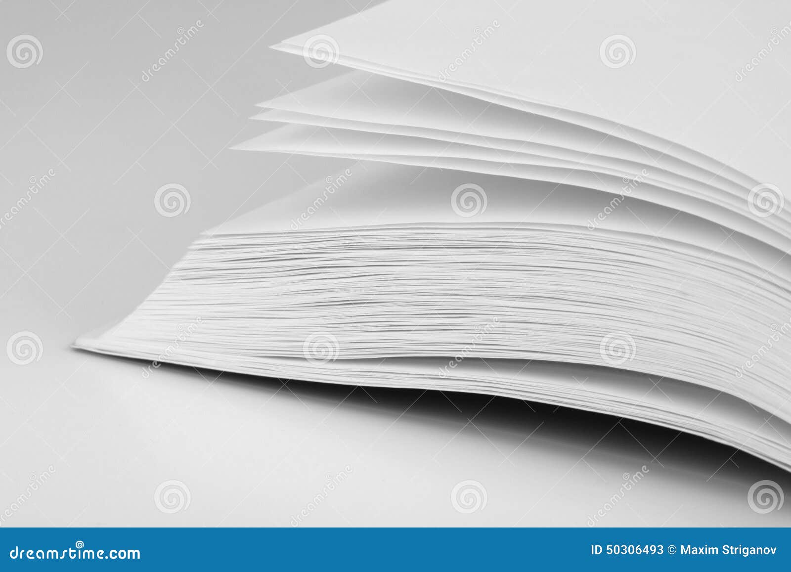 Libro in bianco immagine stock. Immagine di pagina, documento - 50306493