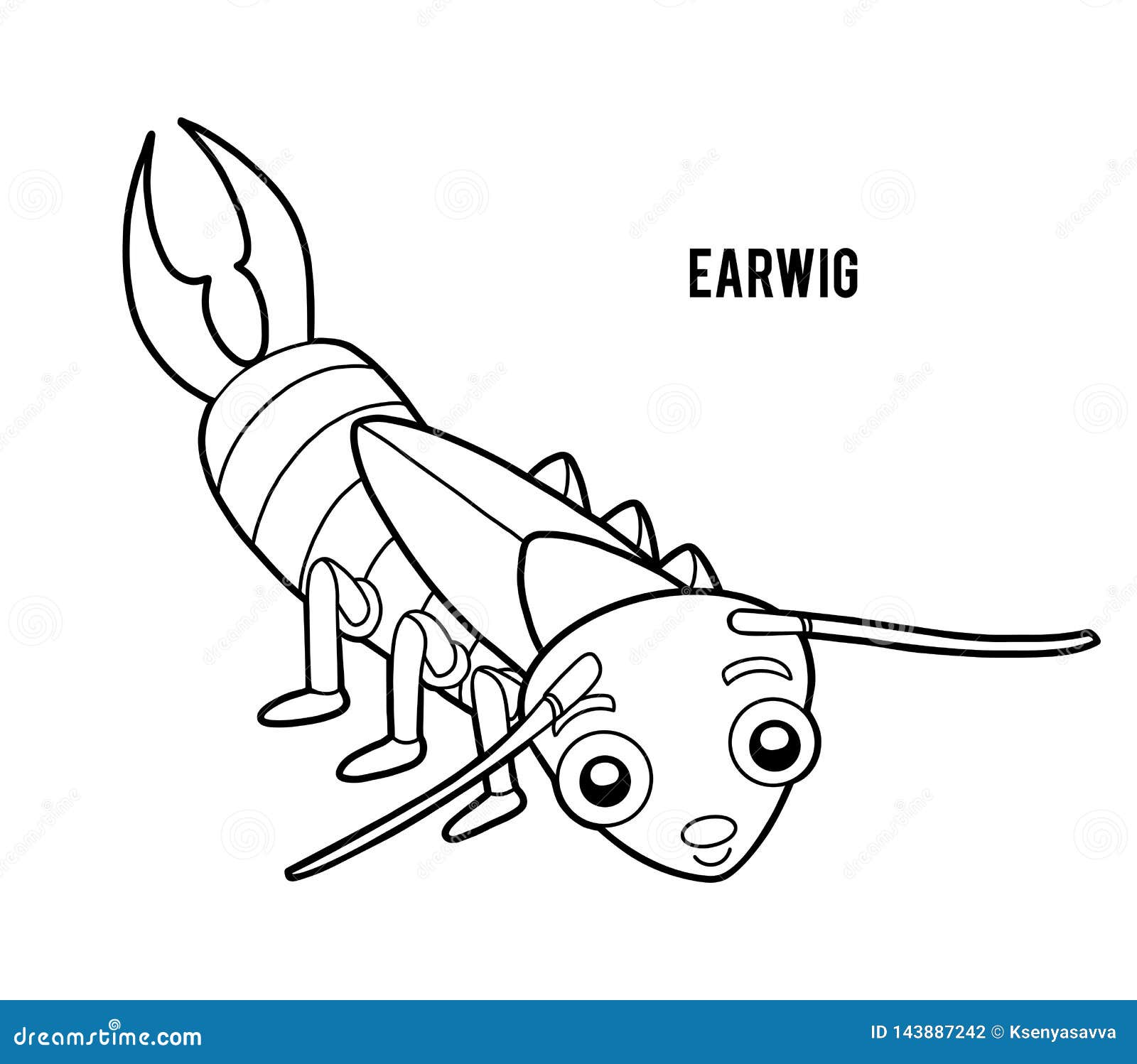 Libro Da Colorare, Dermaptera Illustrazione Vettoriale - Illustrazione ...