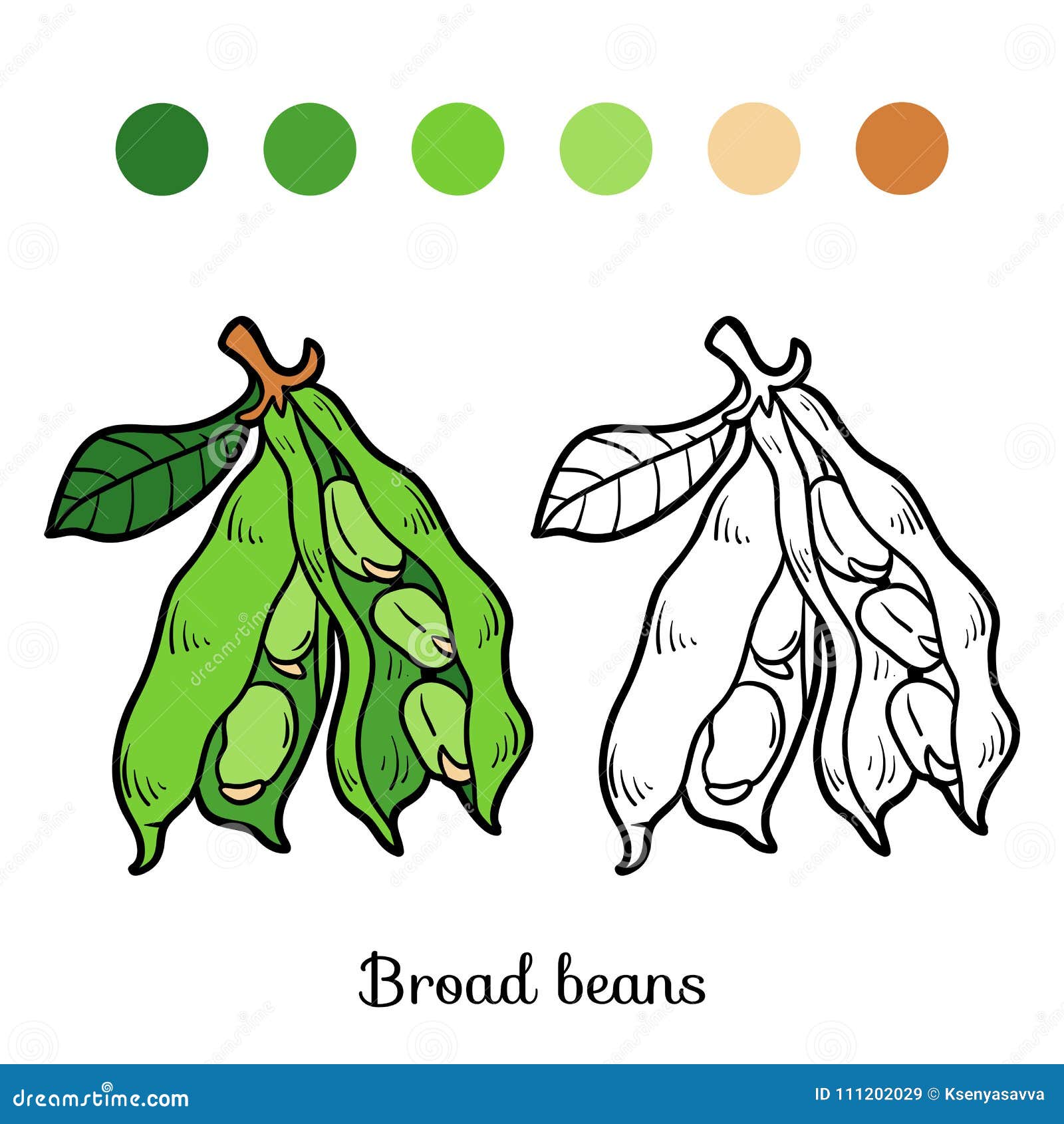 Libro da colorare, fave illustrazione vettoriale. Illustrazione di ...