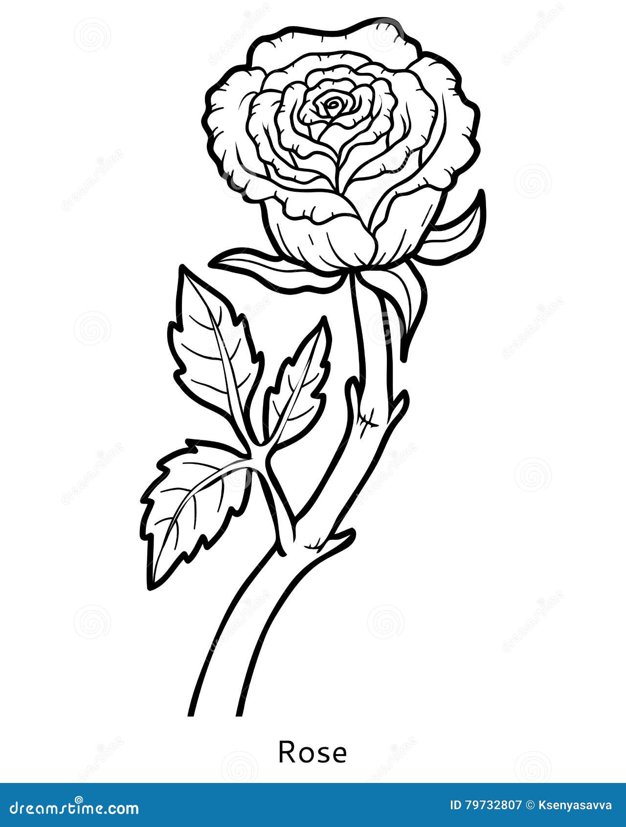 Libro Da Colorare, Fiore Rosa Illustrazione Vettoriale - Illustrazione ...