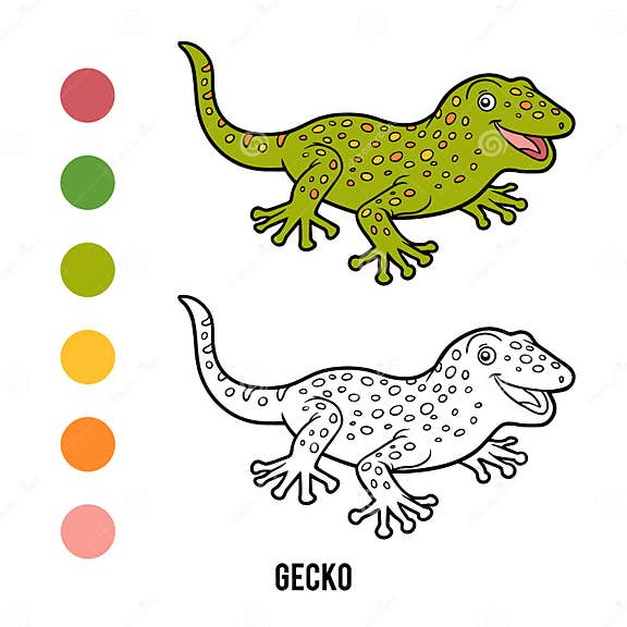 Libro da colorare, geco illustrazione vettoriale. Illustrazione di ...