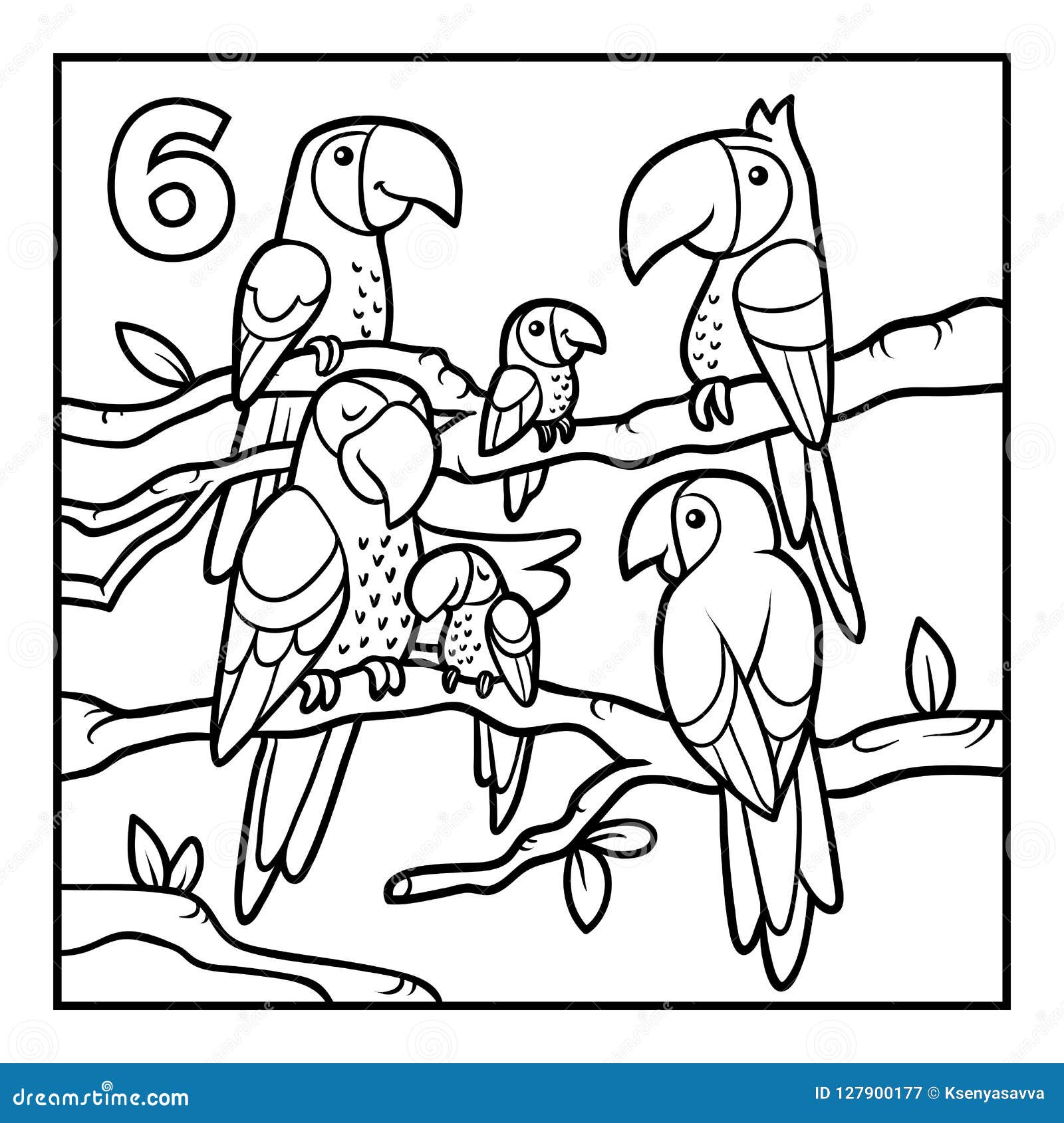 Libro Da Colorare, Sei Pappagalli Illustrazione Vettoriale ...