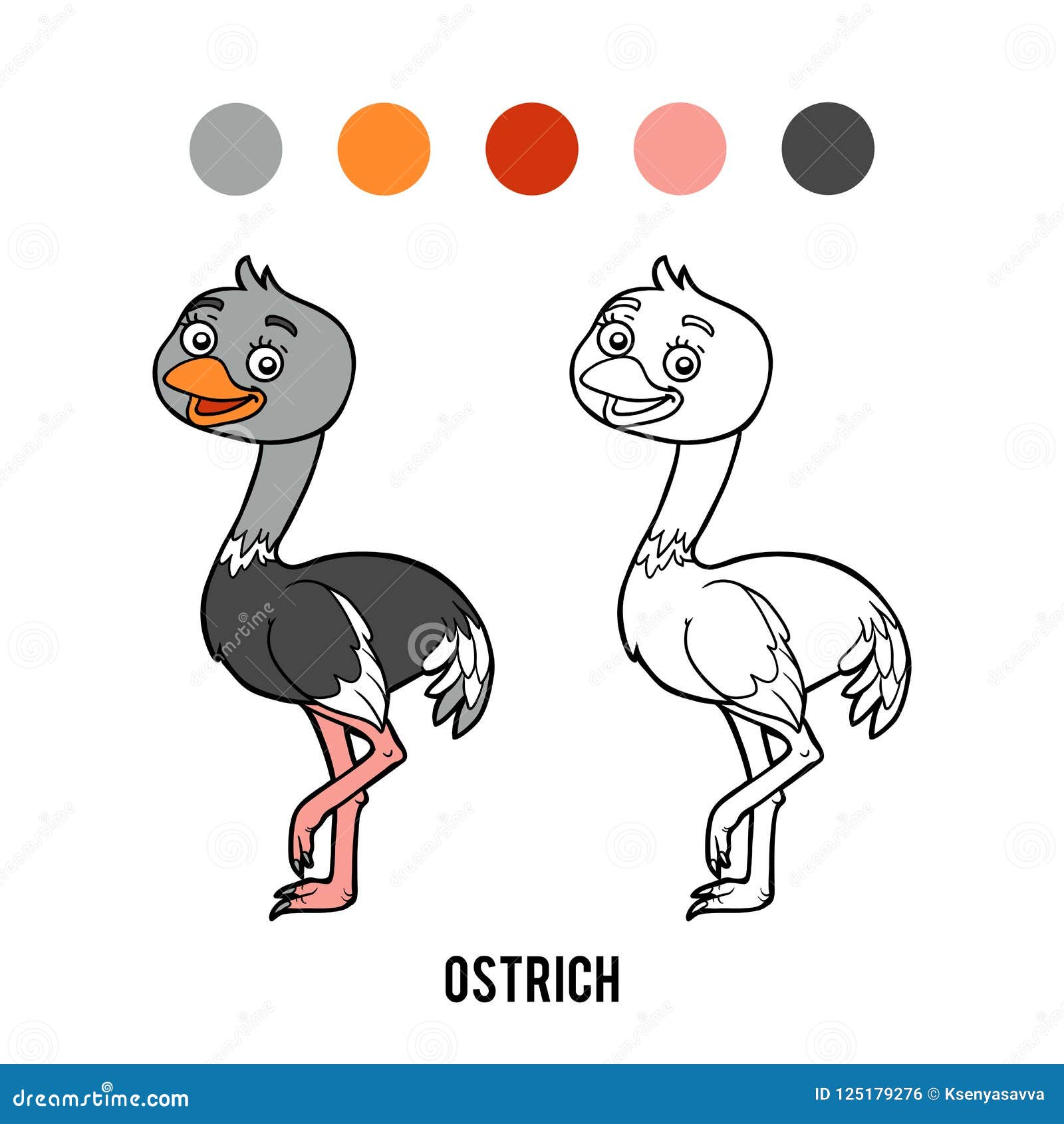 Libro da colorare, struzzo illustrazione vettoriale. Illustrazione di ...