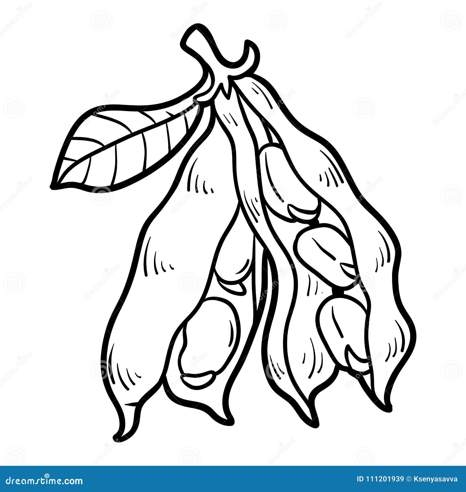 Libro de colorear, habas ilustración del vector. Ilustración de color ...