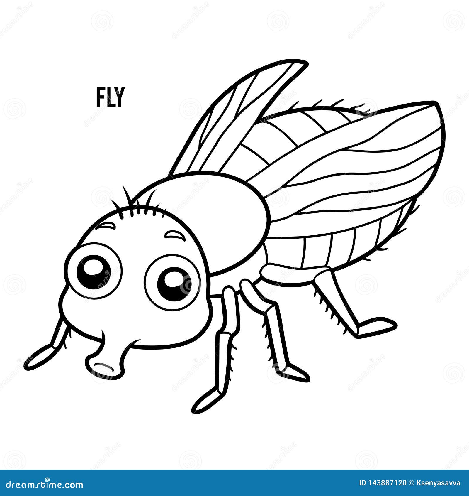 Desenhos De Mosca Para Colorir E Pintar
