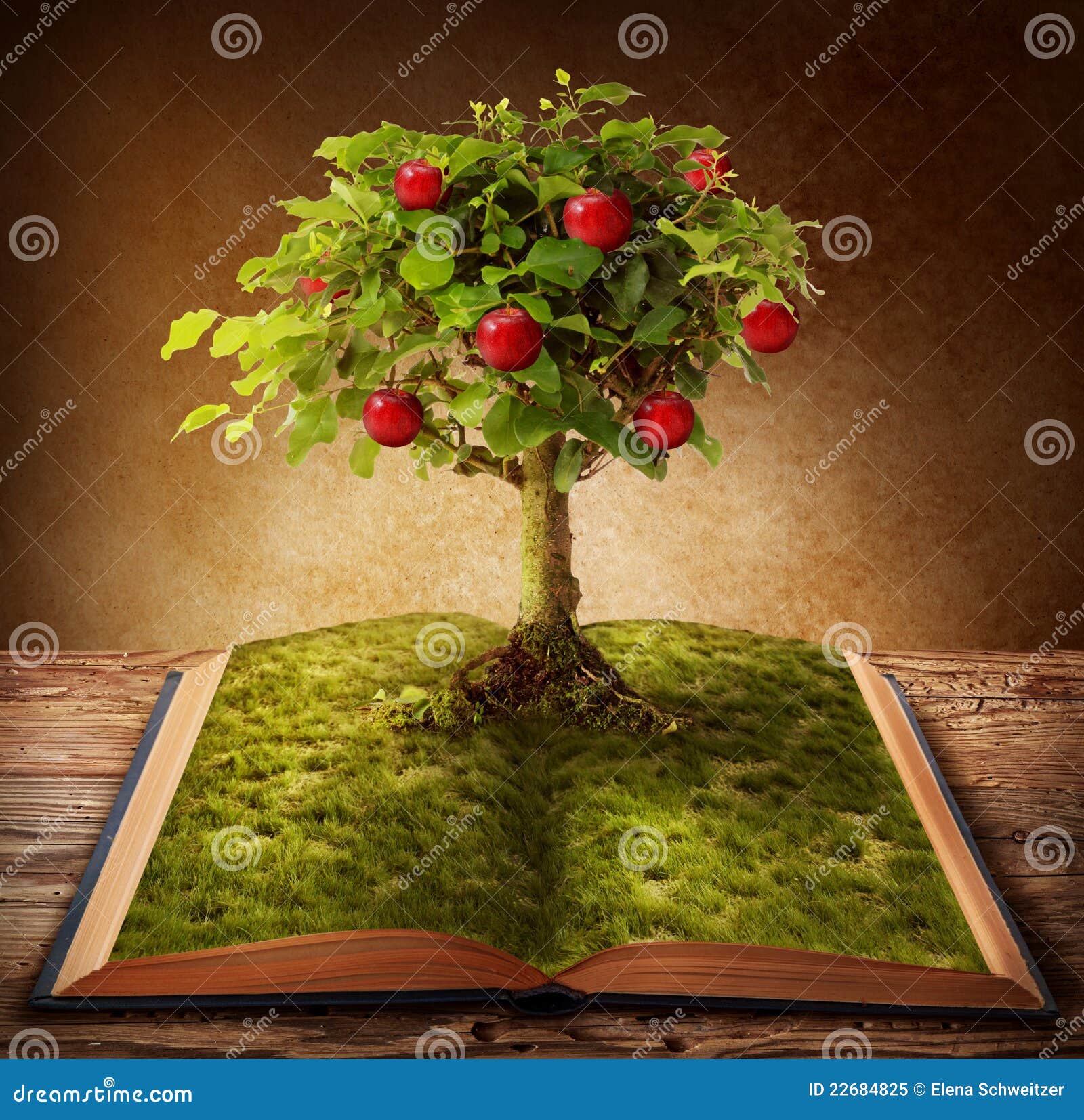 Libro di conoscenza immagine stock. Immagine di nave - 22684825