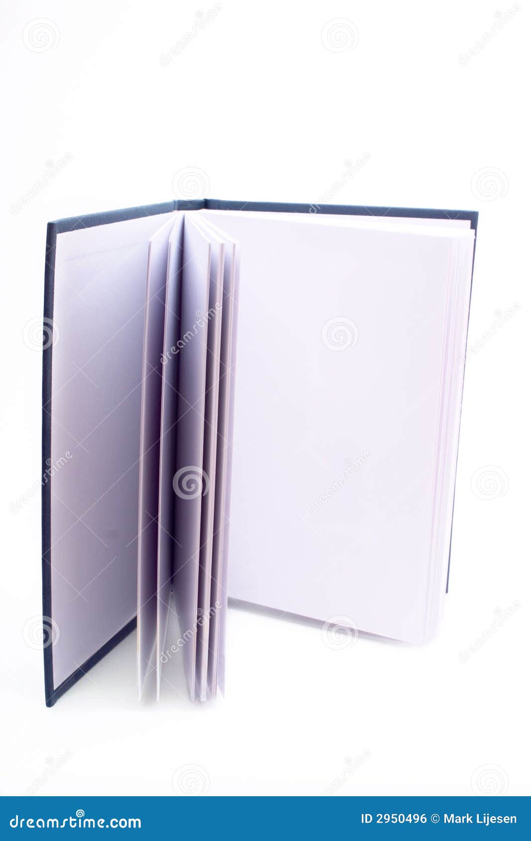 Libro en blanco foto de archivo. Imagen de papel, blanco - 2950496