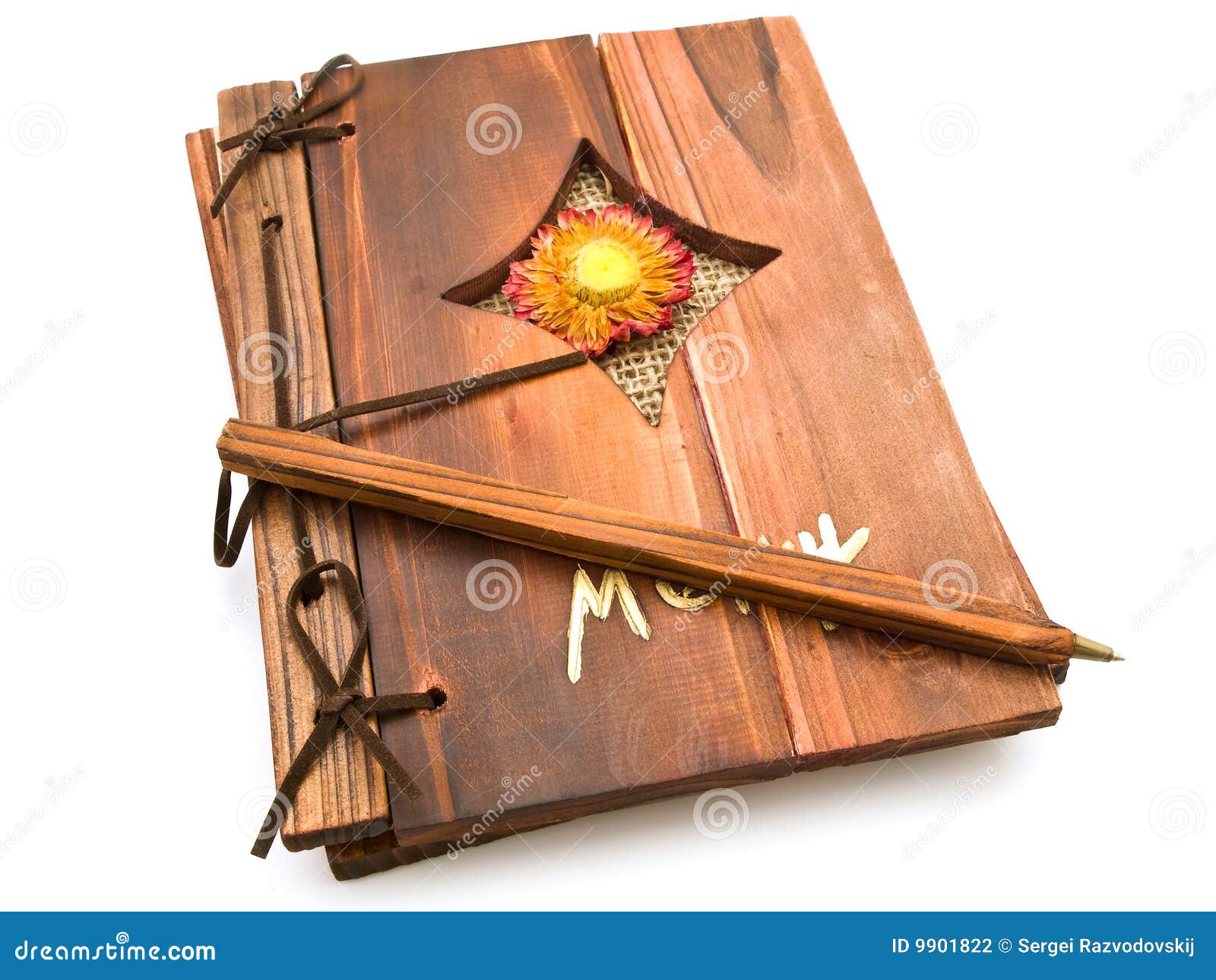 Libro y pluma foto de archivo. Imagen de historia, madera - 9901822