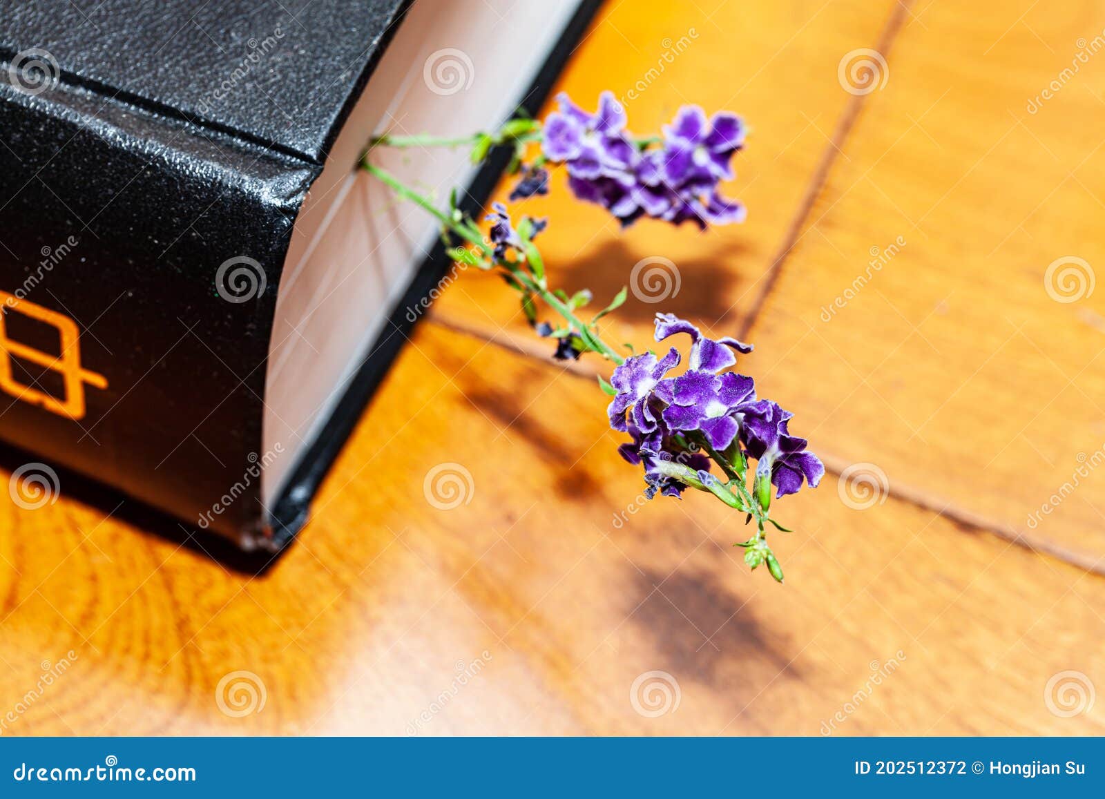 Libros Con Flores Moradas Sobre Tablas De Madera Foto de archivo ...
