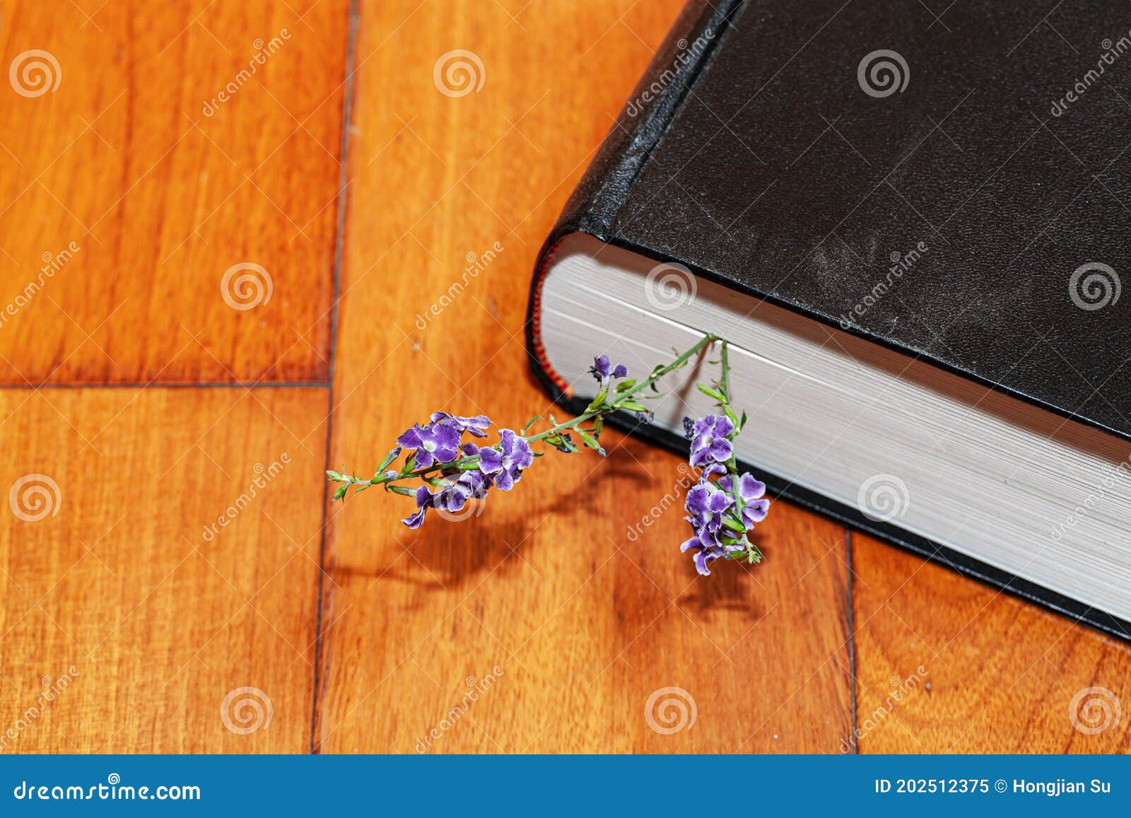 Libros Con Flores Moradas Sobre Tablas De Madera Imagen de archivo ...
