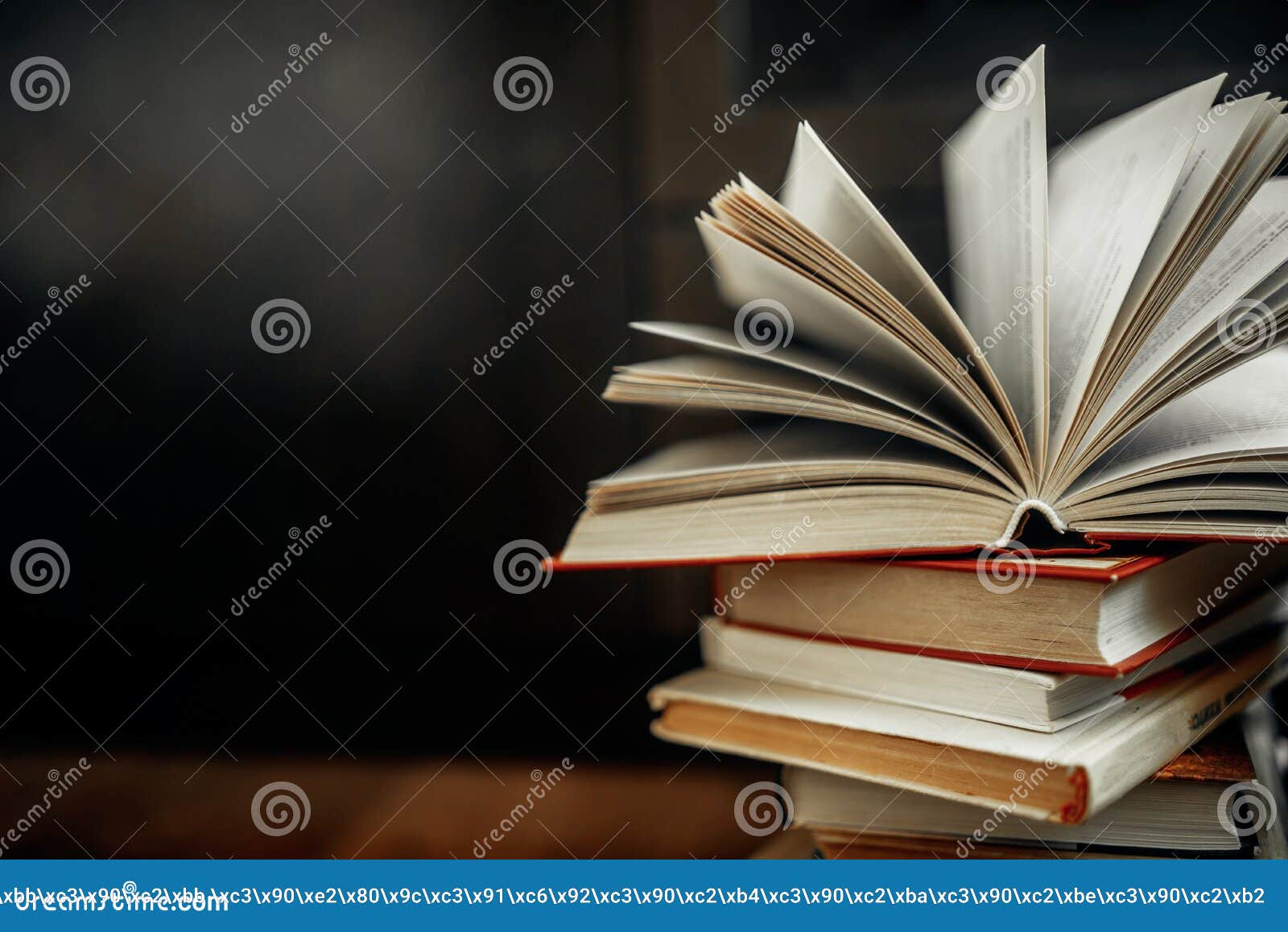 Libros Y Libros De Texto Para El Estudiante Foto de archivo - Imagen de ...