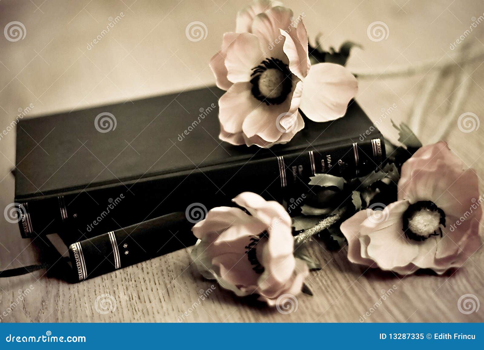 Libros y flores imagen de archivo. Imagen de ramo, libros - 13287335