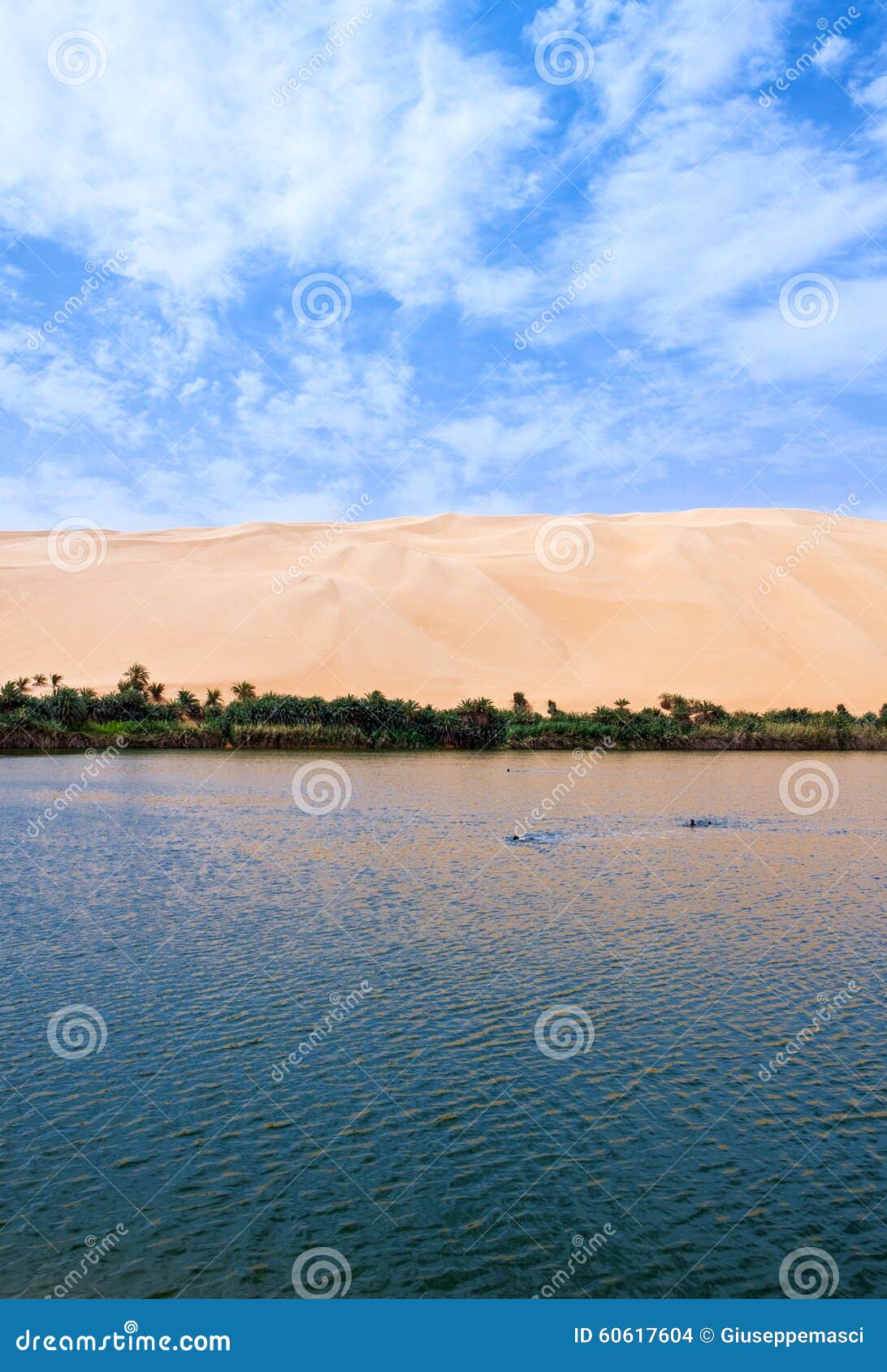 Libya editorial stock image. Image of outdoor, tree, libya - 60617604