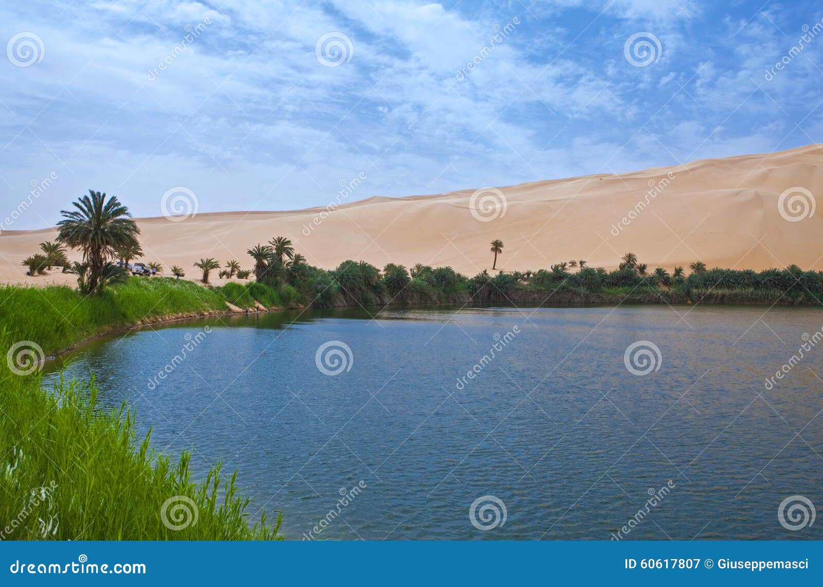 Libya stock image. Image of sahara, vegetation, nature - 60617807