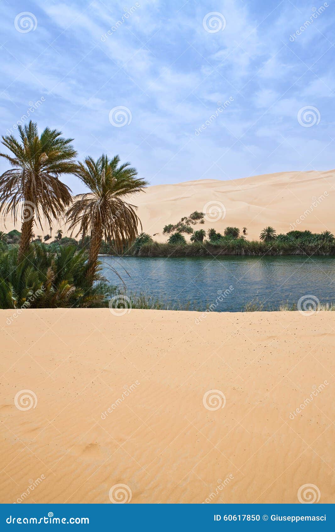 Libya stock photo. Image of fezzan, lake, vegetation - 60617850