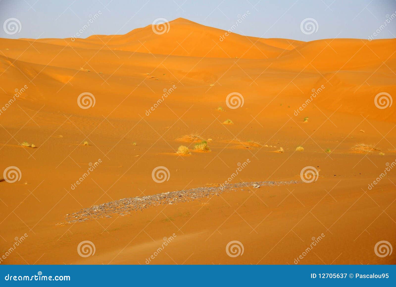 Libyan desert stock image. Image of wilderness, clump - 12705637