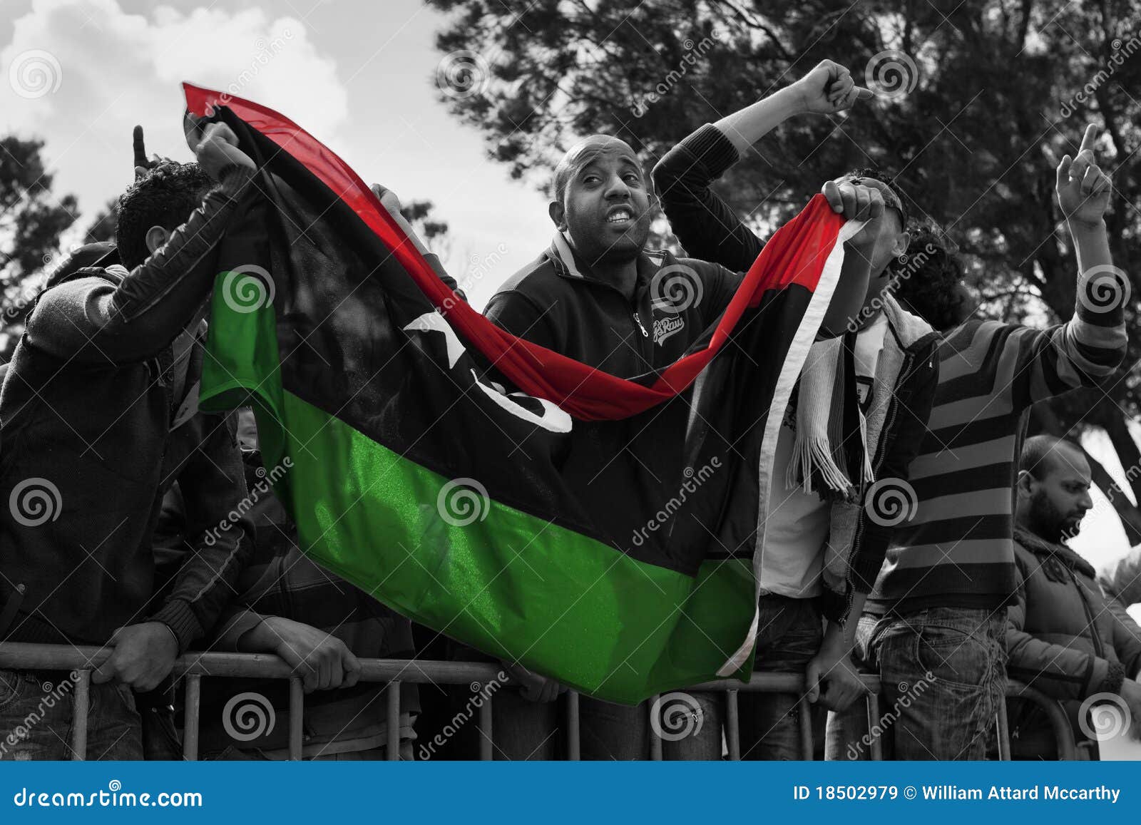 Gaddafi Flag Editorial Image | CartoonDealer.com #20042308