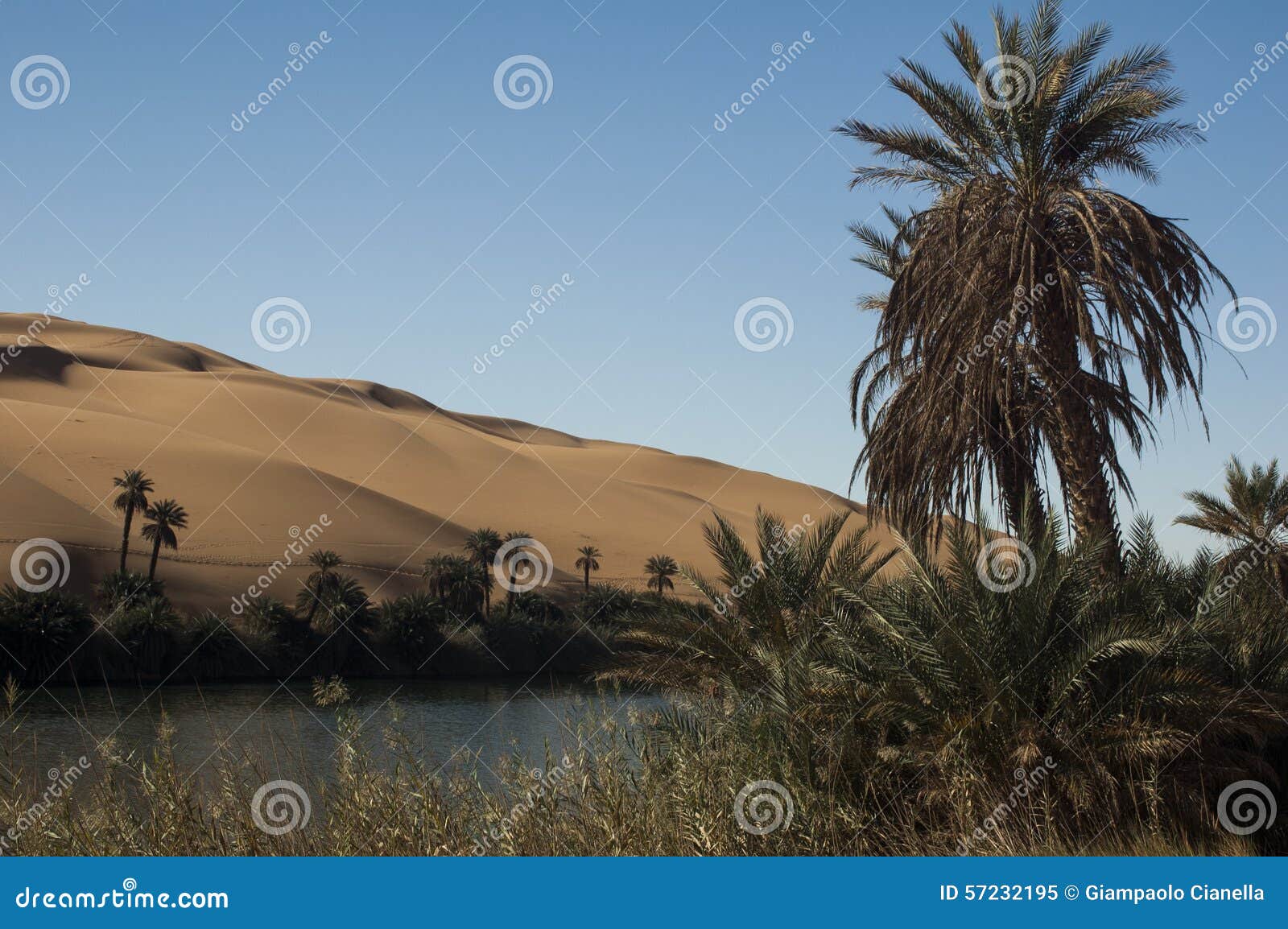 Libyan sahara desert stock image. Image of africa, gaberoun - 57232195