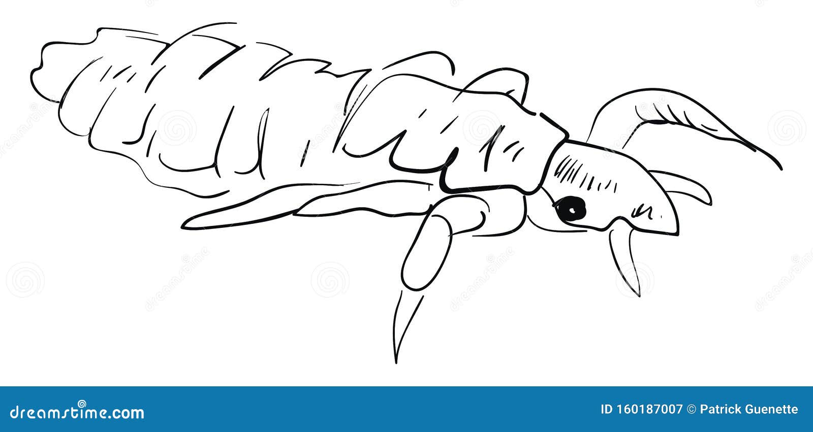 Lice Drawing, Illustration, Vector Stock Vector - Illustration of ...