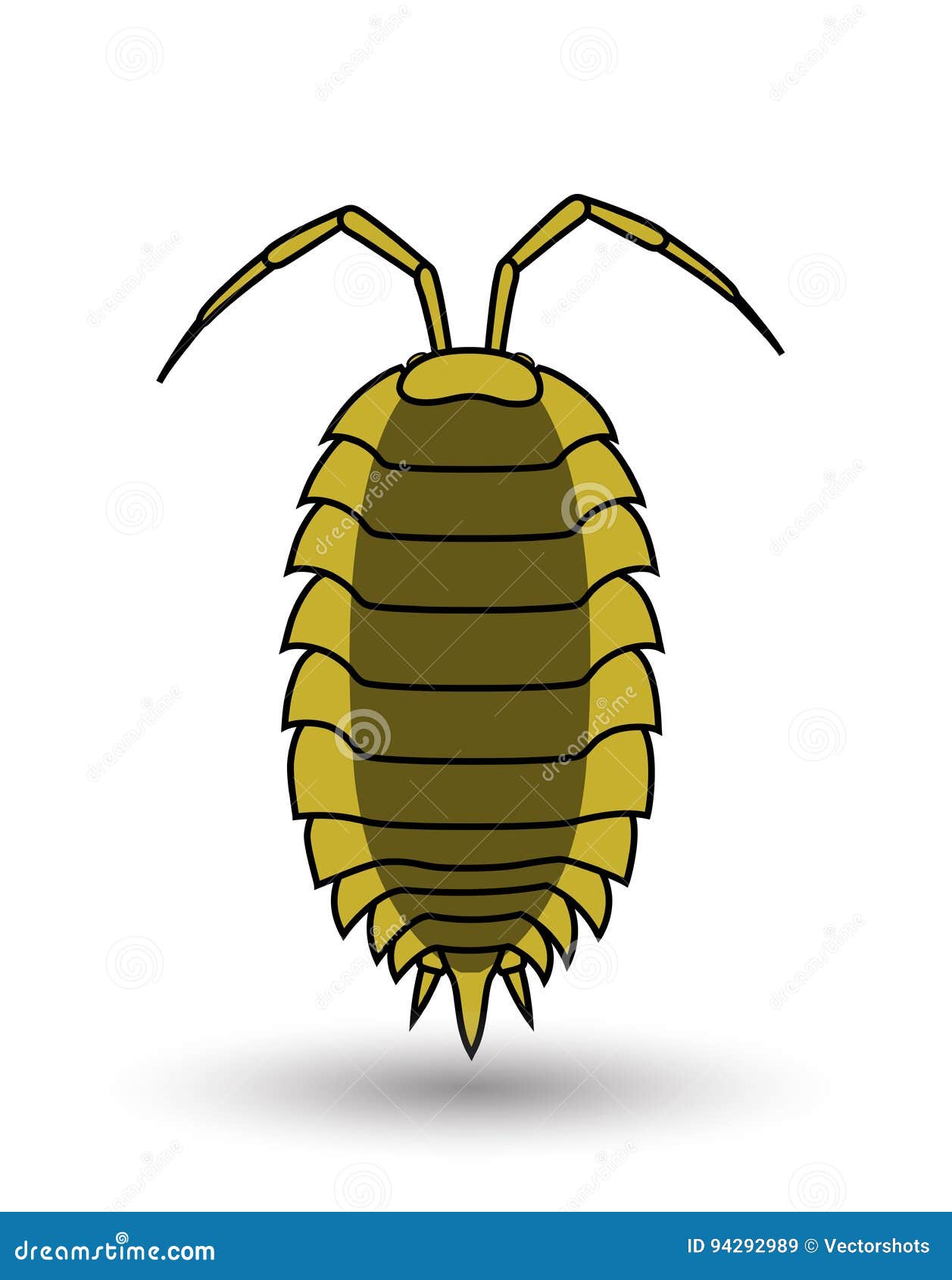 Lice Insect Vector Art stock vector. Illustration of sting - 94292989