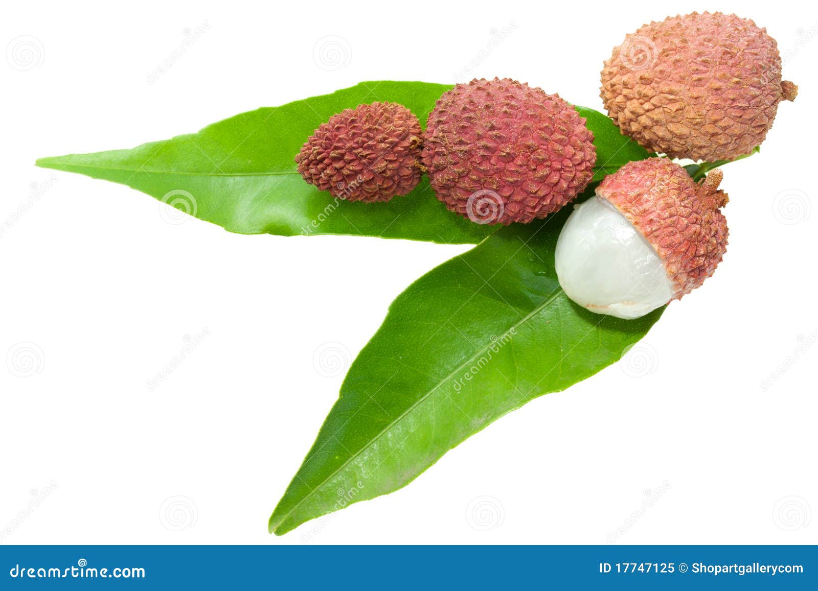 Lichíes imagen de archivo. Imagen de verde, sabroso, tropical - 17747125