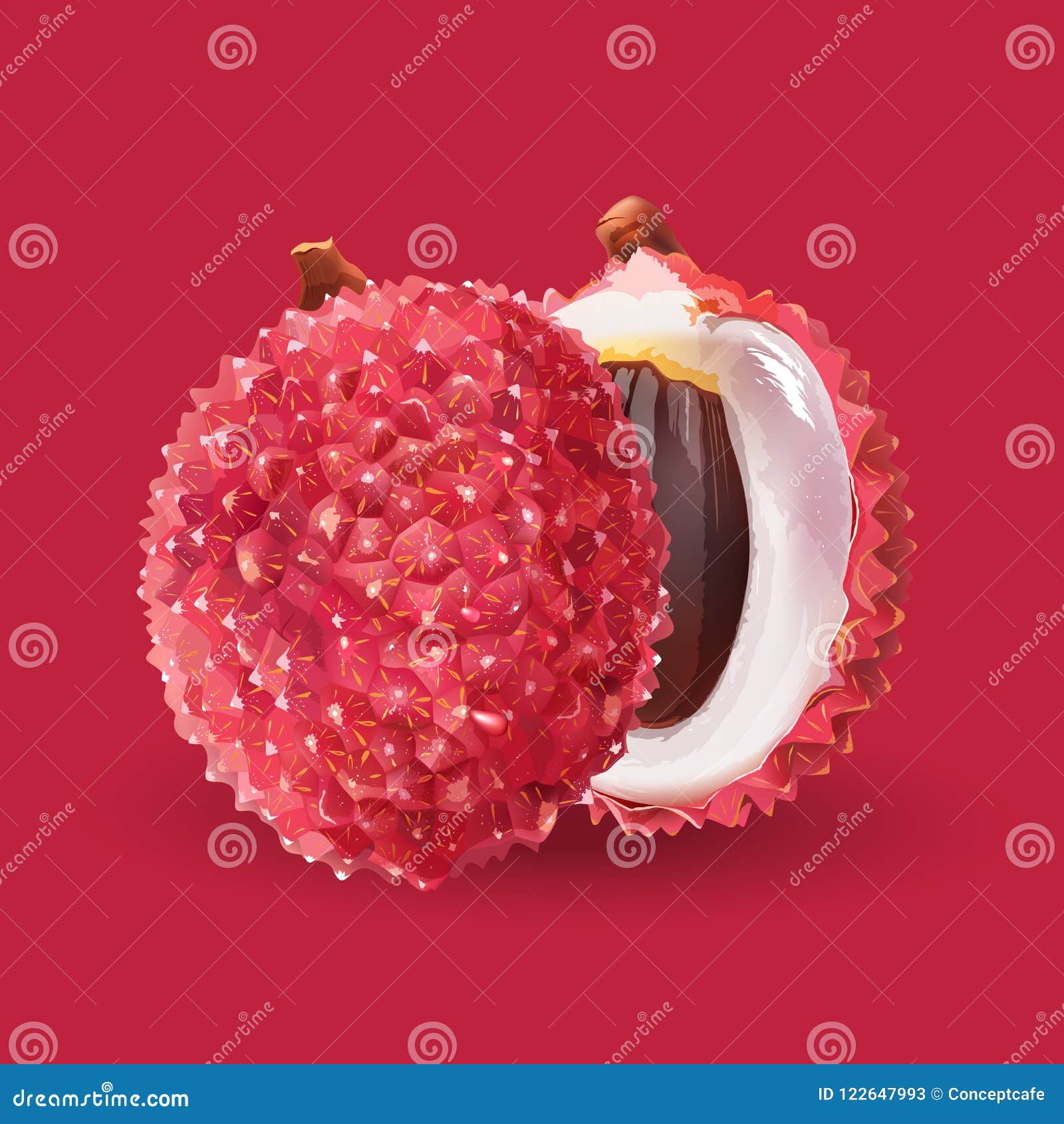 Lichee on red background stock vector. Illustration of nature - 122647993
