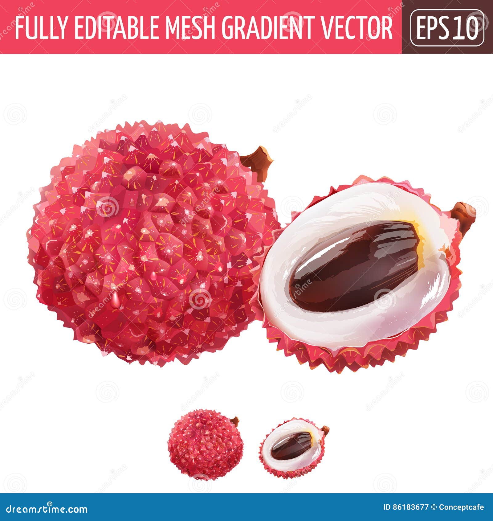 Lichee on White Background. Vector Illustration Stock Vector ...