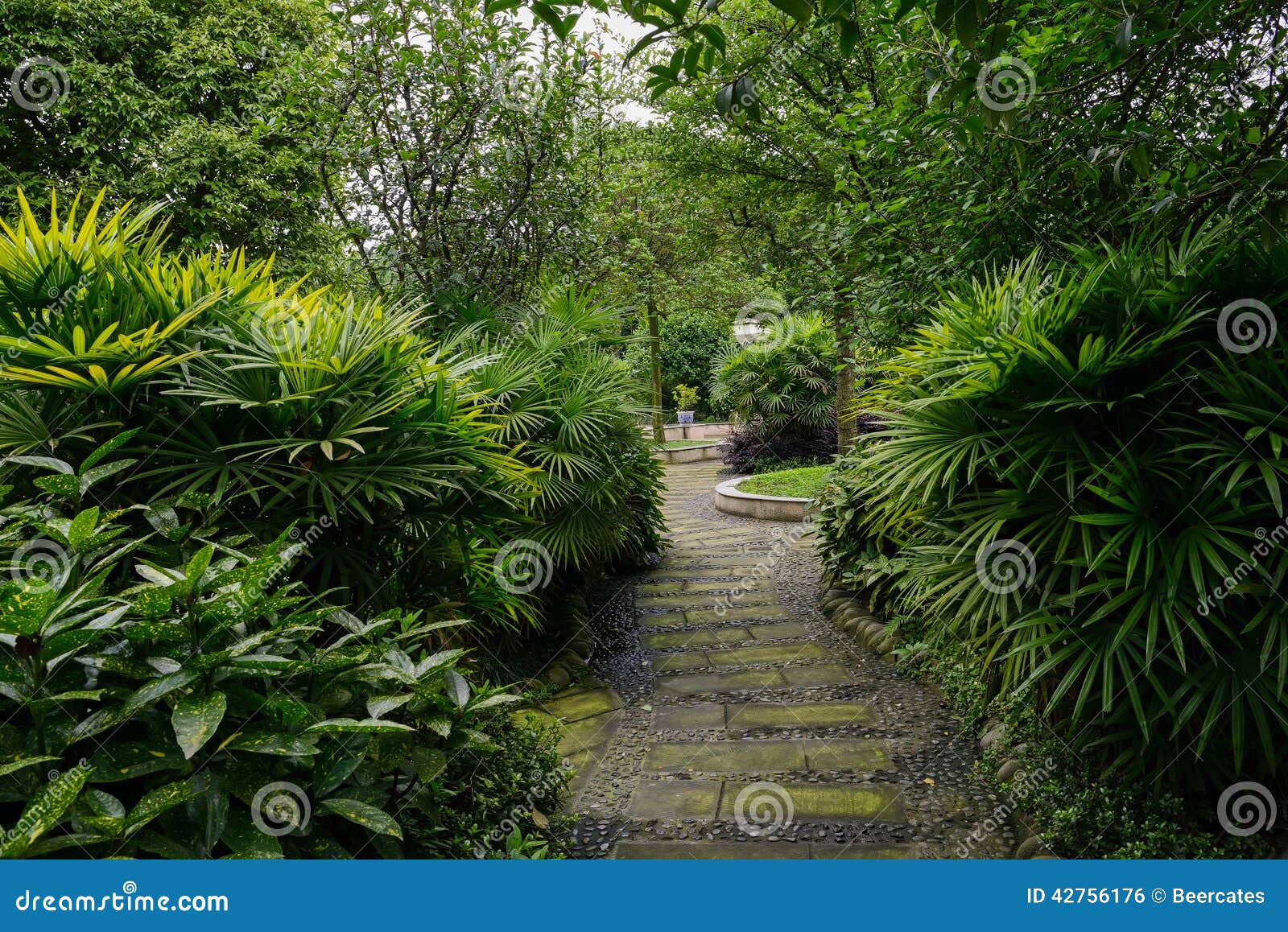 Lichen-covered Footpath in Bush Stock Photo - Image of summer, green ...
